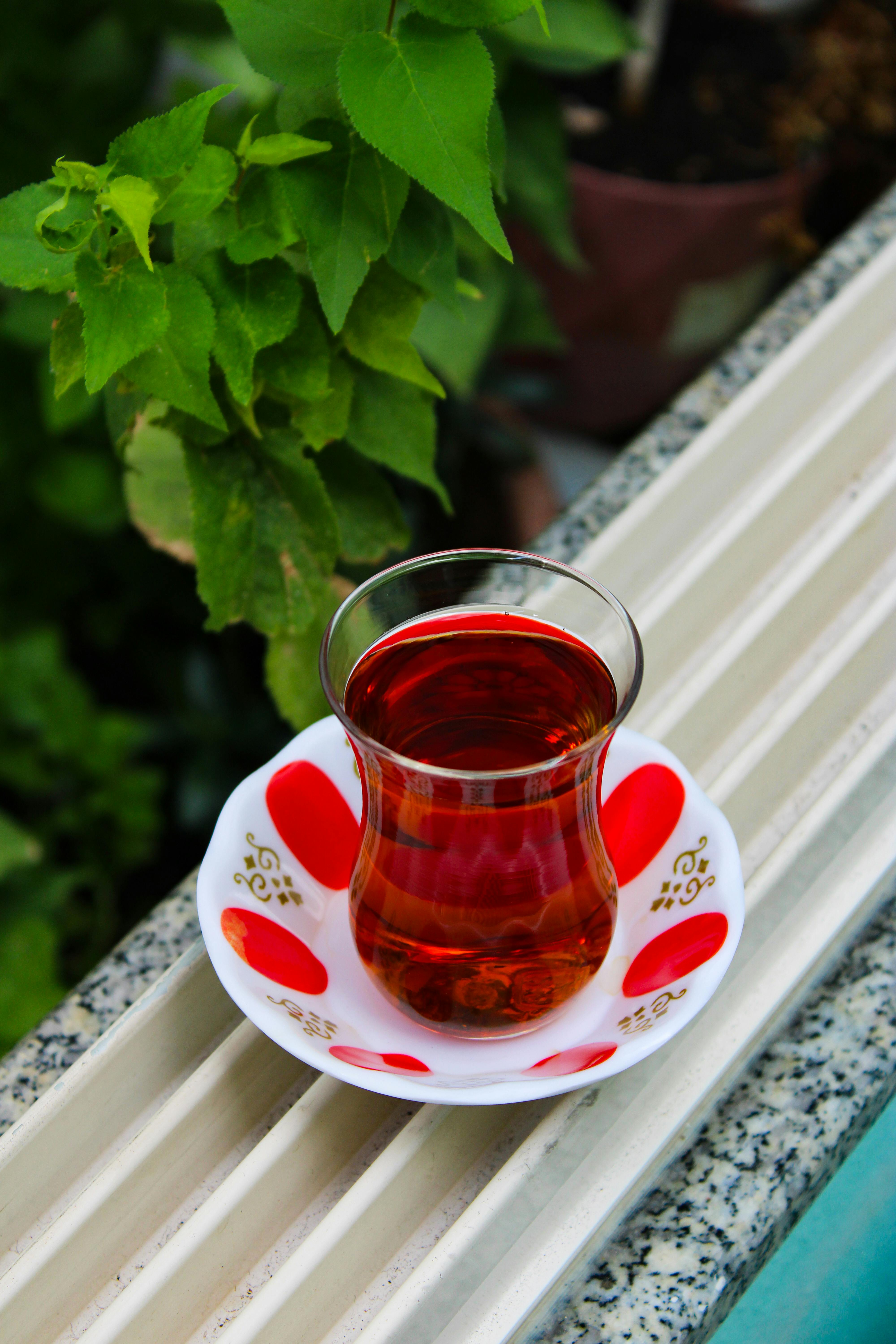 Slurping Tea Photos, Download The BEST Free Slurping Tea Stock Photos ...