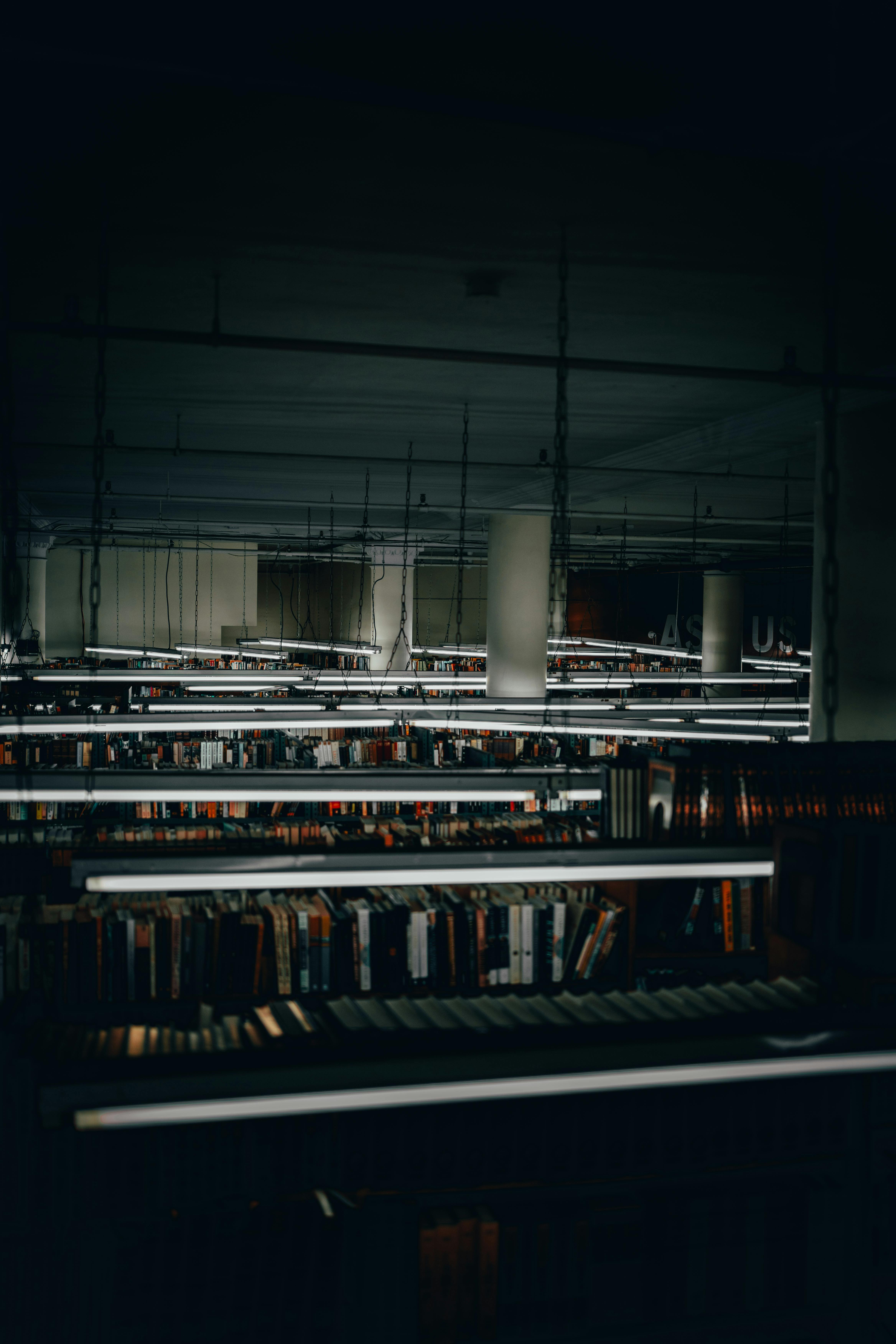 Books on Library Shelves at Night · Free Stock Photo