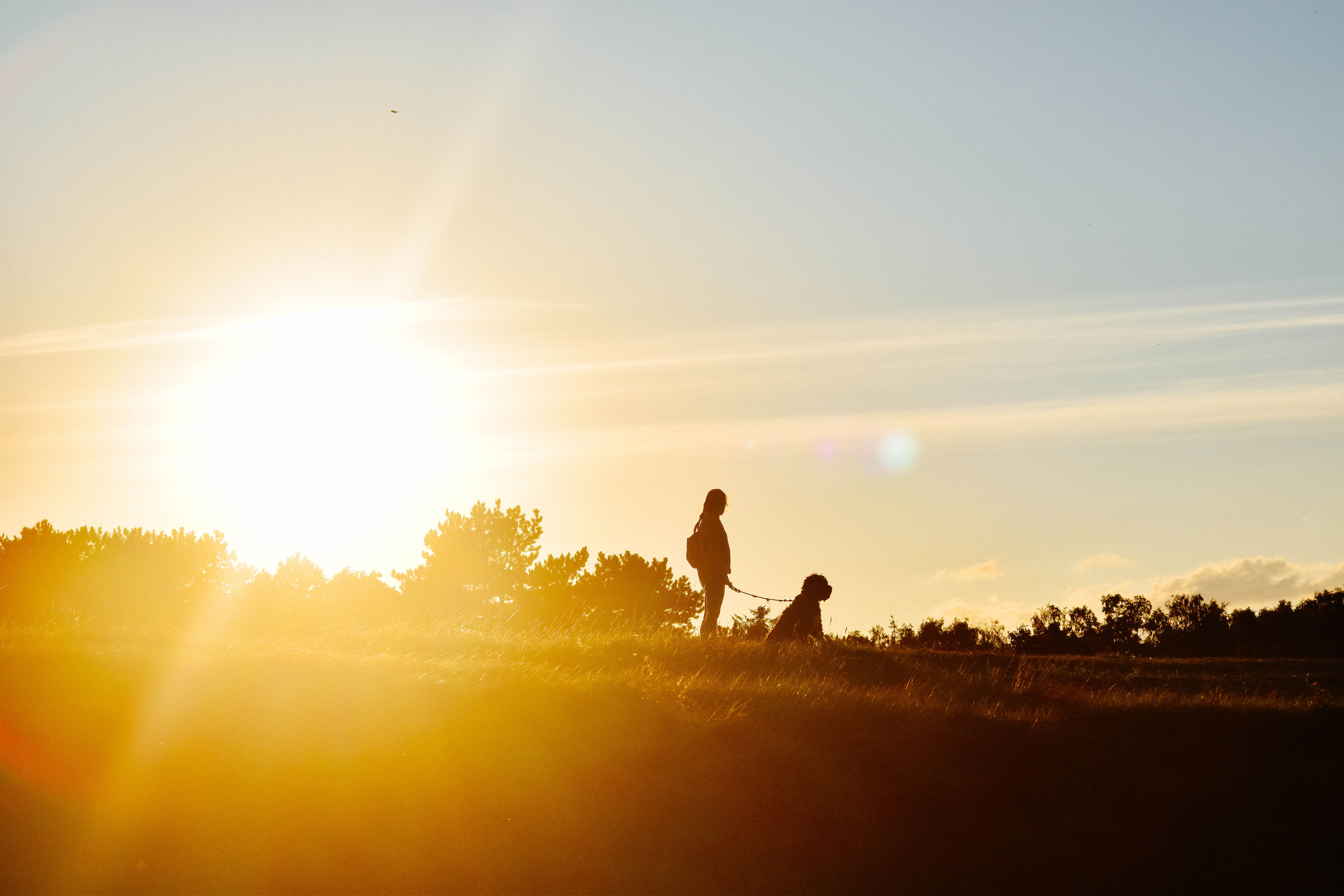 Woman In Sunlight Photos, Download The BEST Free Woman In Sunlight ...