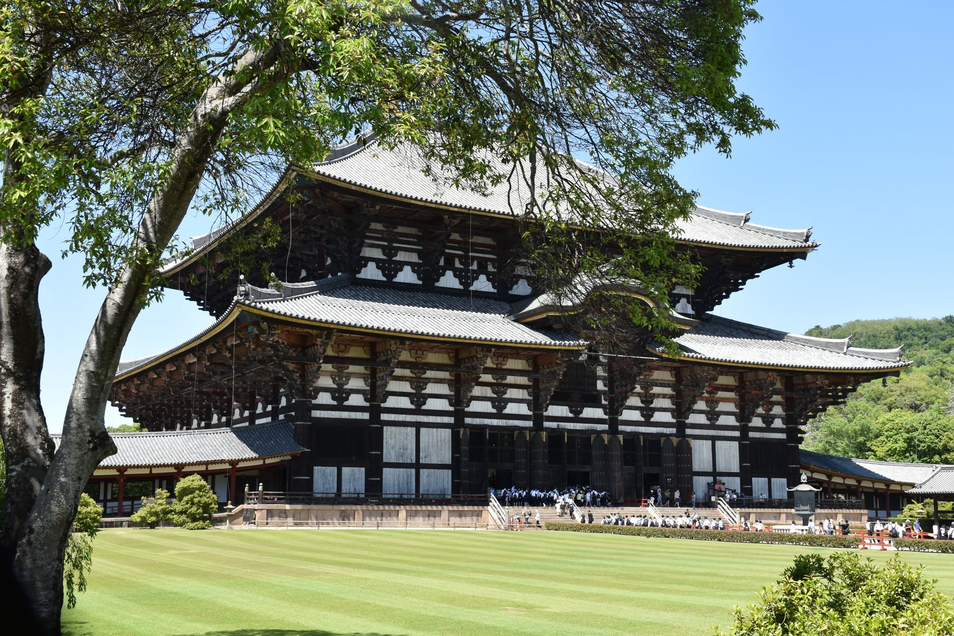 Nara Travel Guide 2026 — Where to Eat, Stay & Wander | Facts From Upstairs