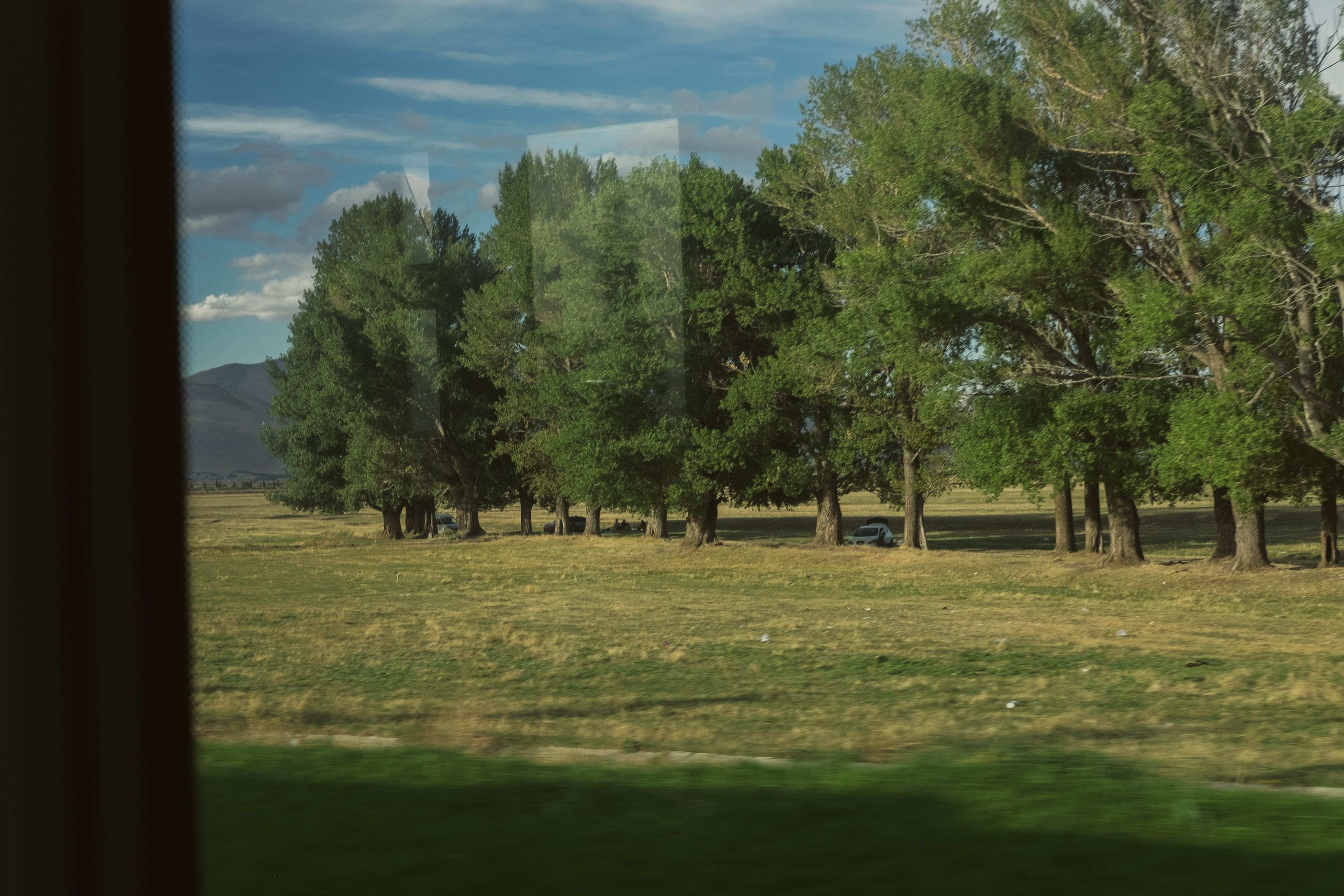 Trees on Grassland behind Window · Free Stock Photo
