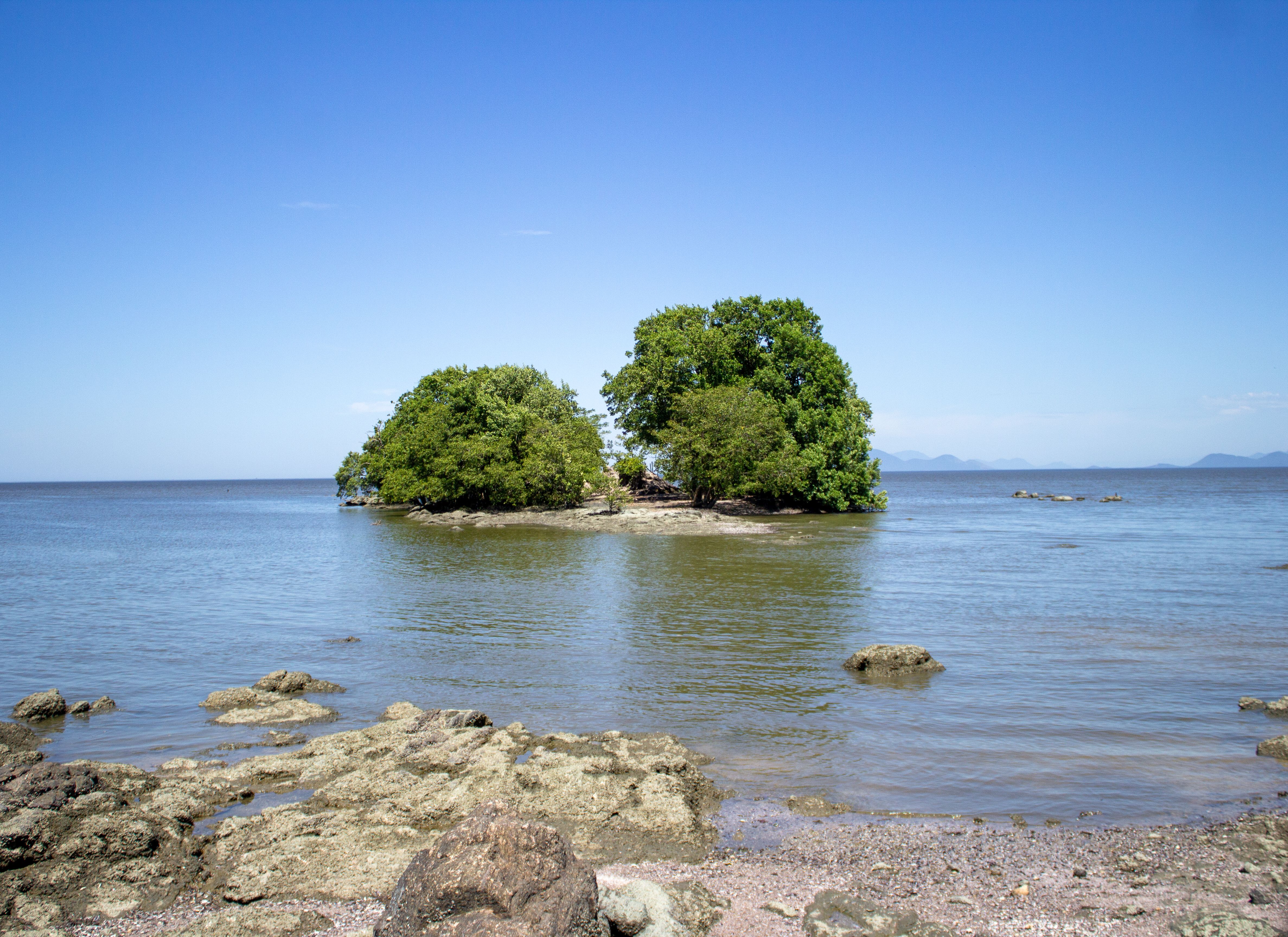 Photo gratuite de @extérieur, à couper le souffle, à distance, arbres ...