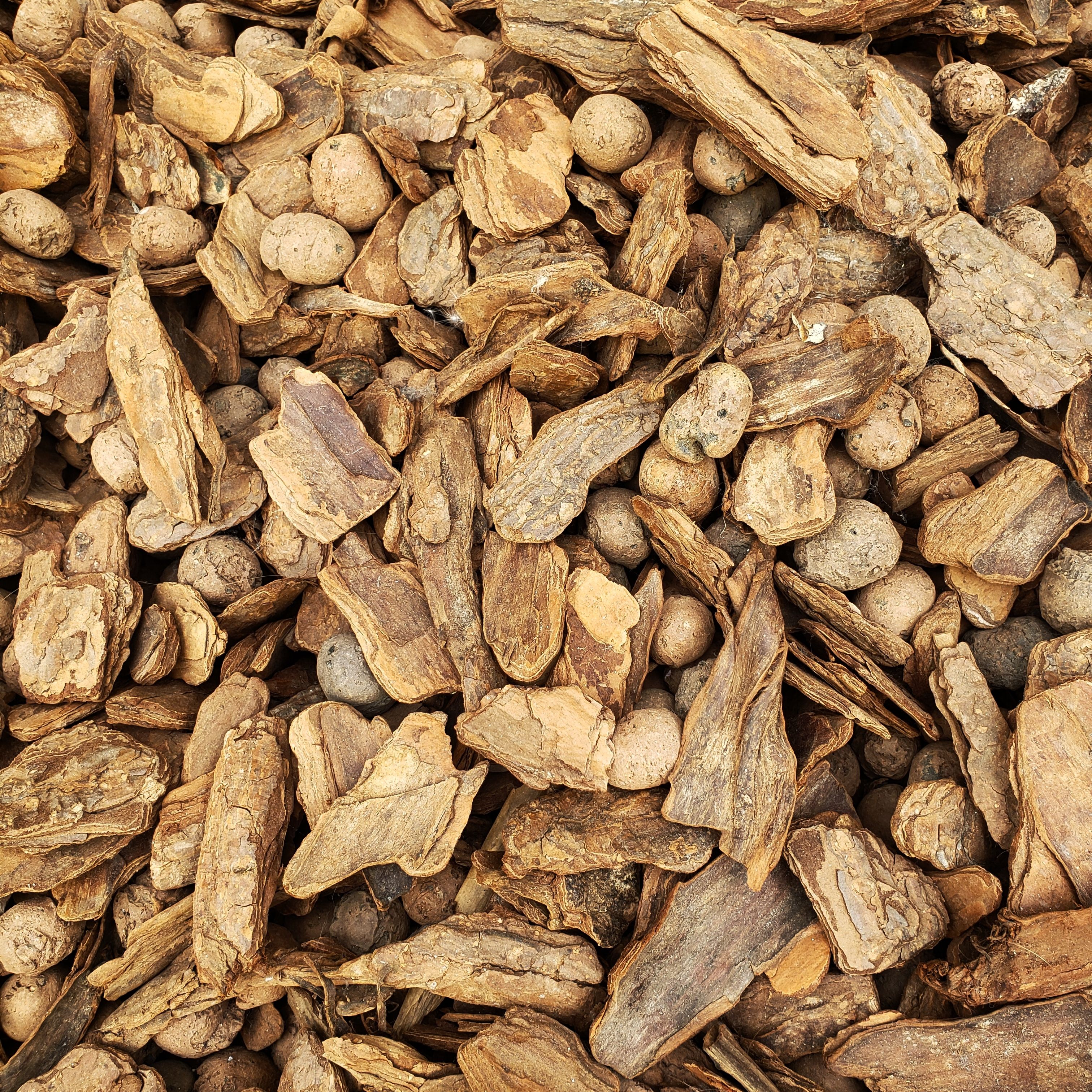 A Mix of Dried Bark and Roots · Free Stock Photo