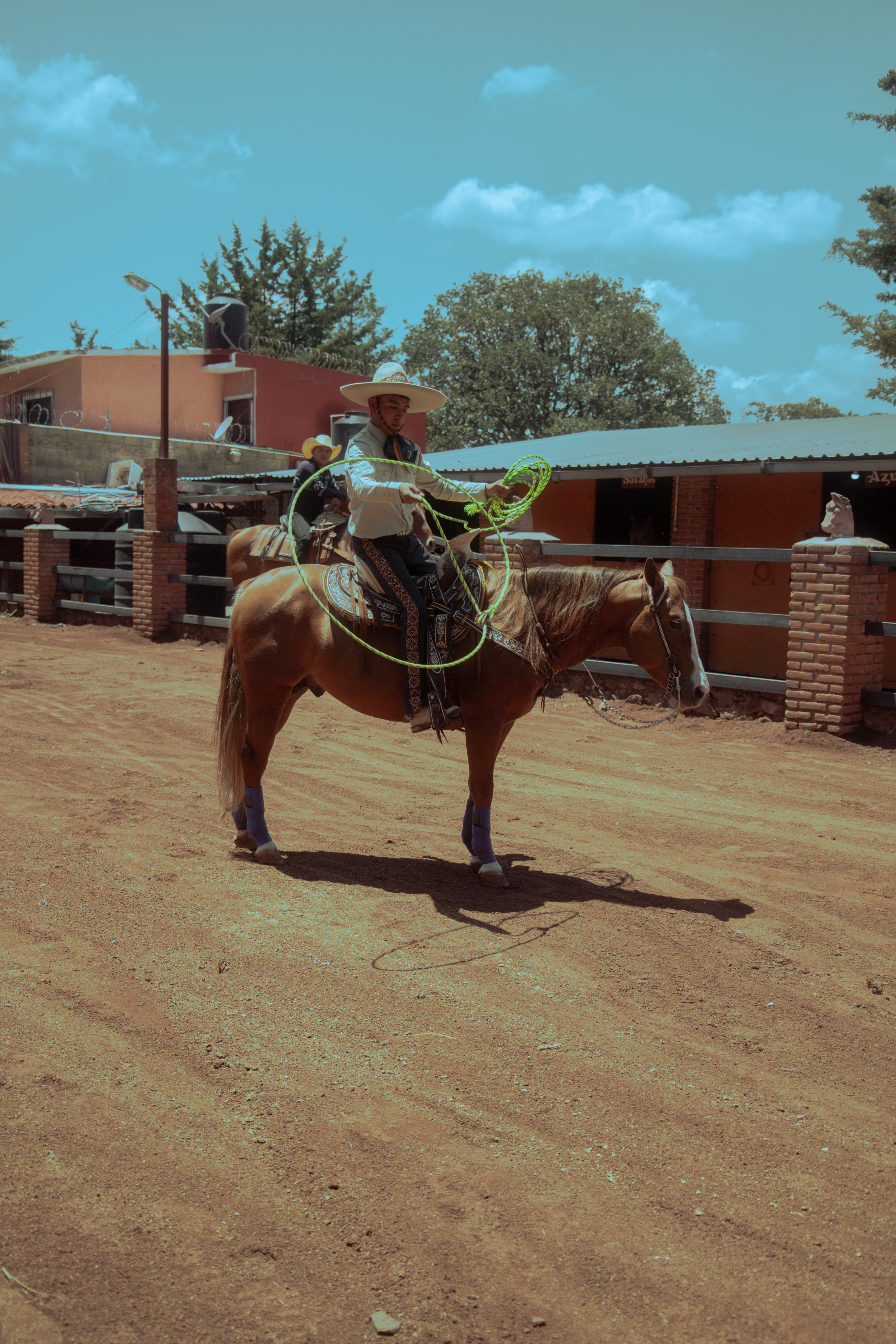 Foto de stock gratuita sobre animal, caballo, charros, deporte, girando ...