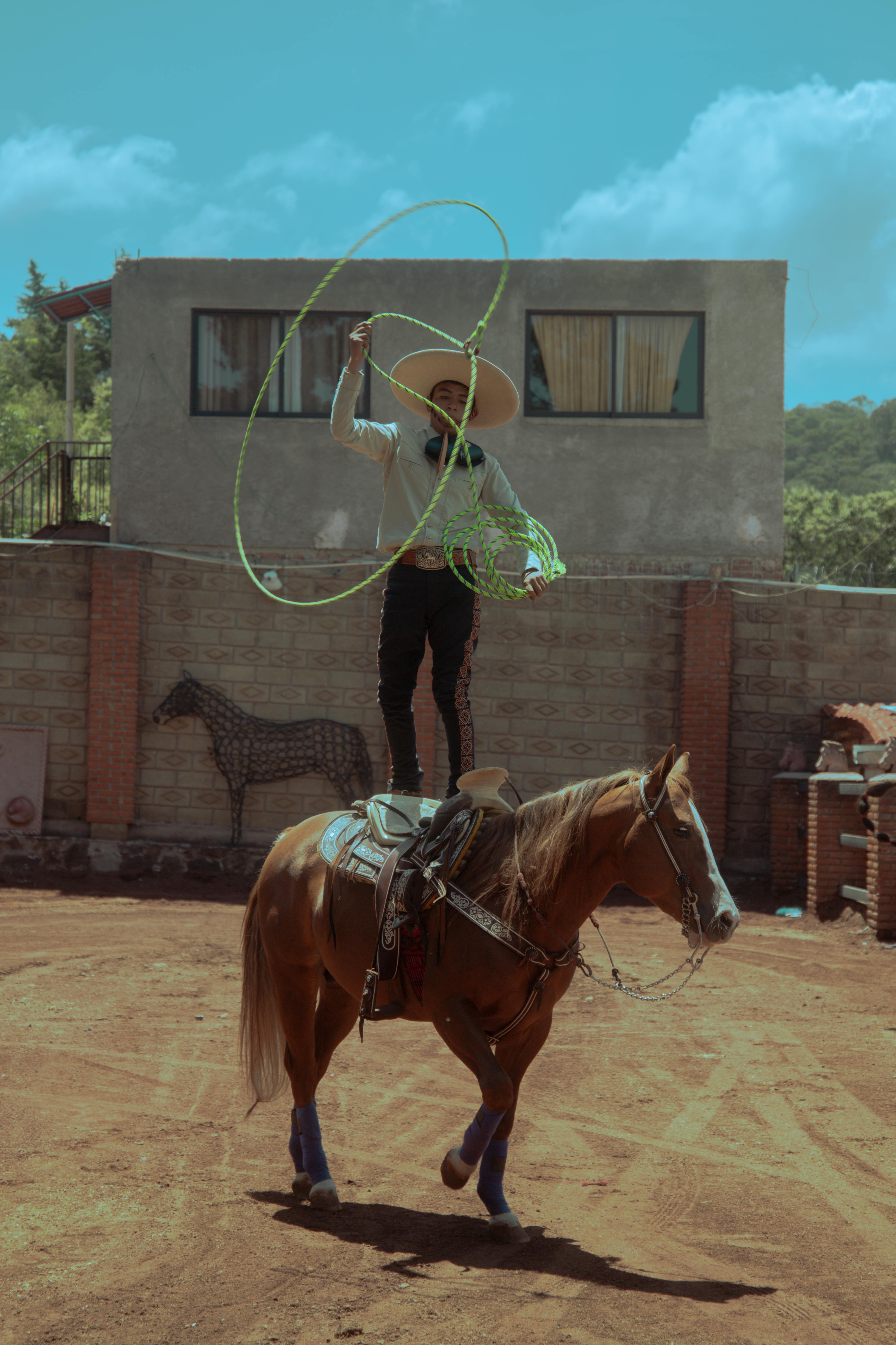 Man with Lasso on Horse · Free Stock Photo