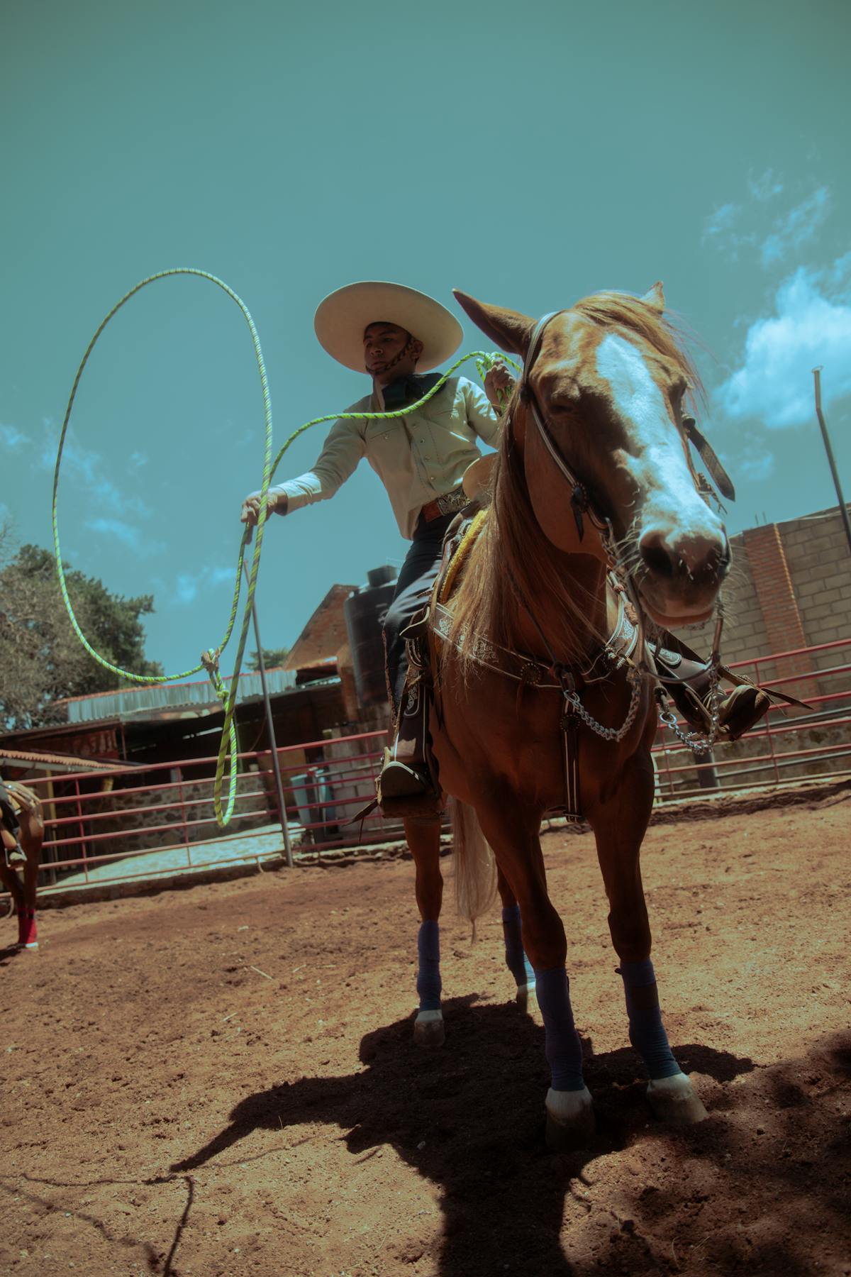 Cowboy With Rope' Photos, Download The BEST Free Cowboy With Rope ...