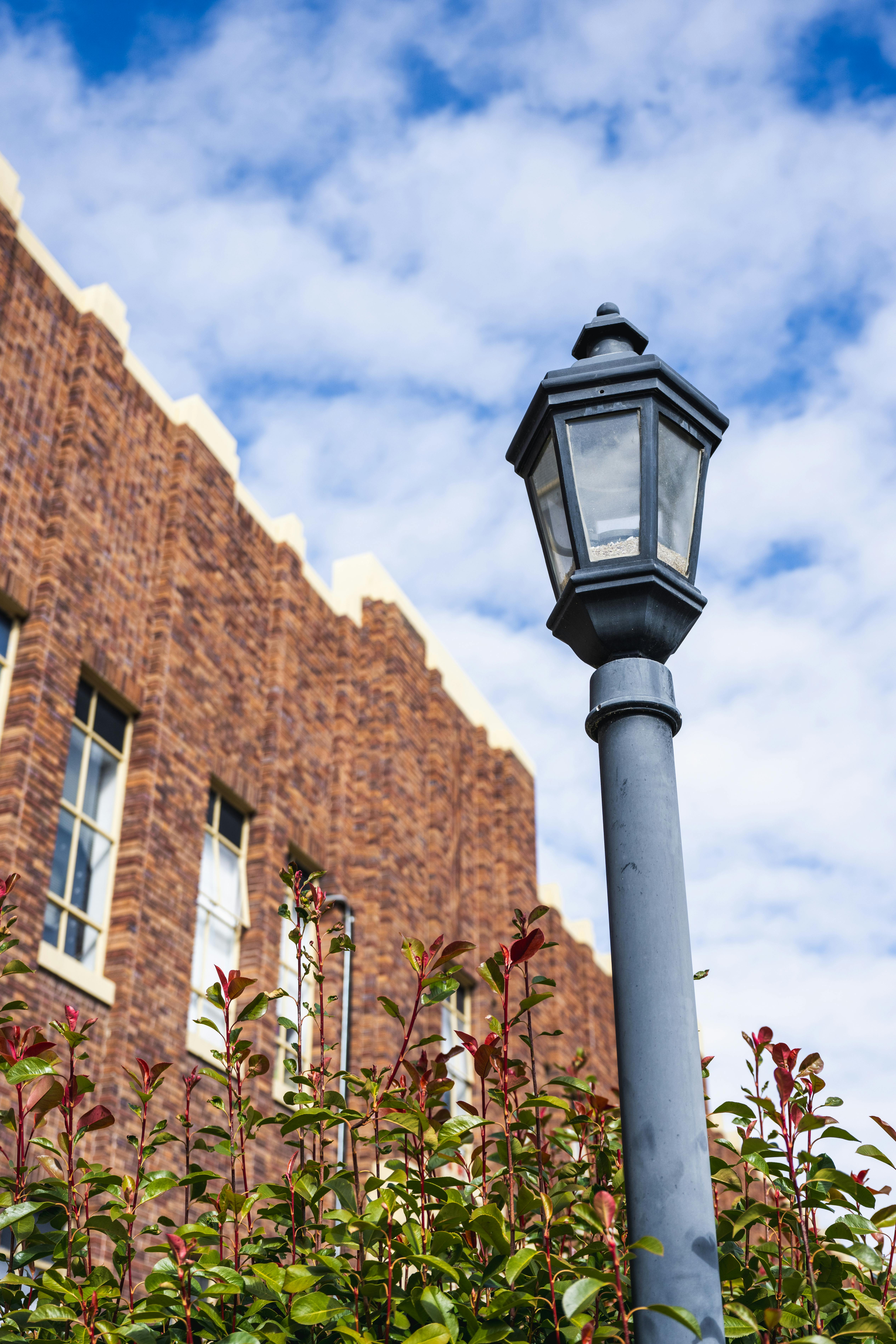 Urban Lamp in Shrub · Free Stock Photo