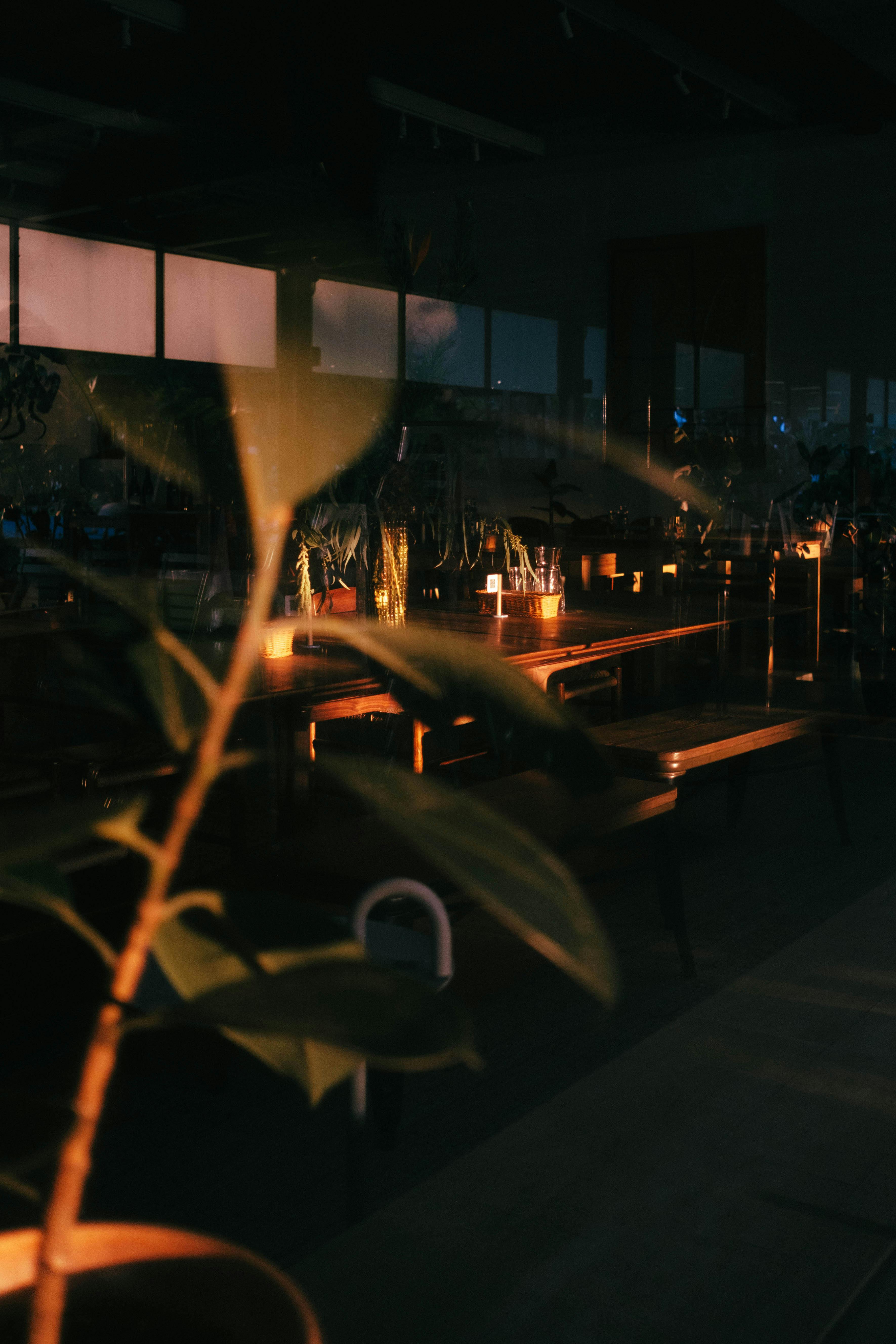 Tasas Cafe Photos, Download The BEST Free Tasas Cafe Stock Photos & HD ...