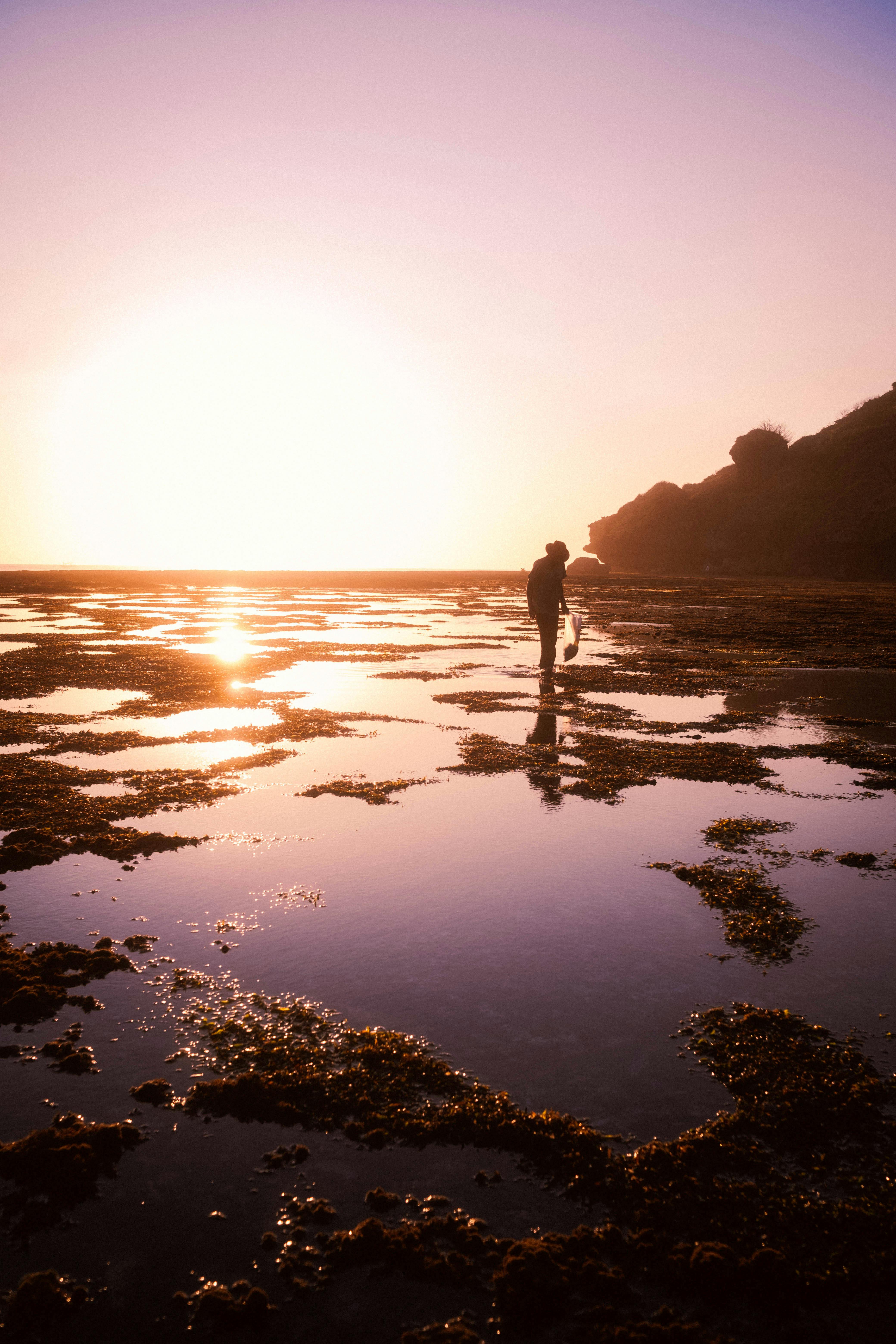 Back View of a Man in the Wetland · Free Stock Photo