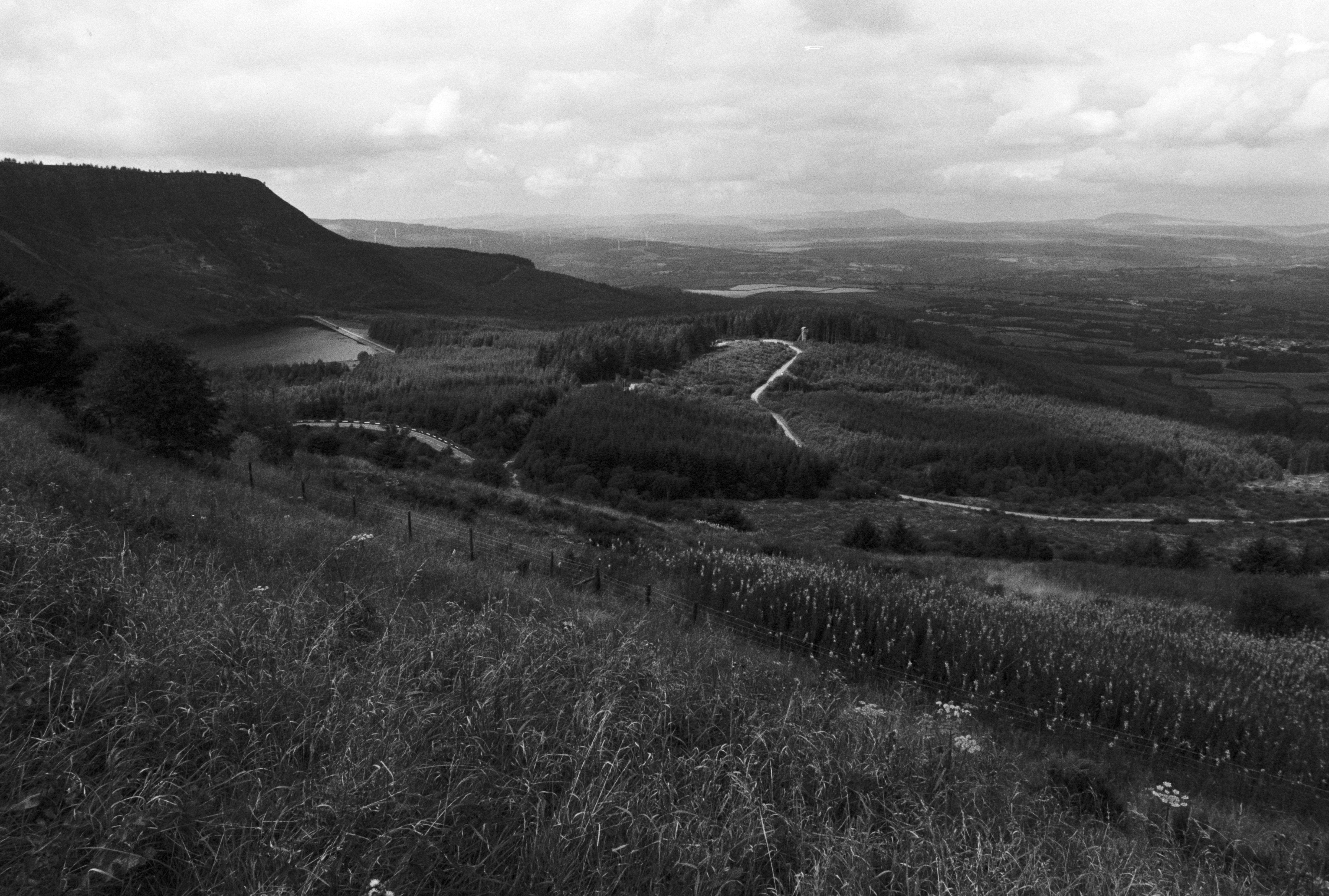 Foto de stock gratuita sobre al aire libre, ambiente tranquilo, belleza ...