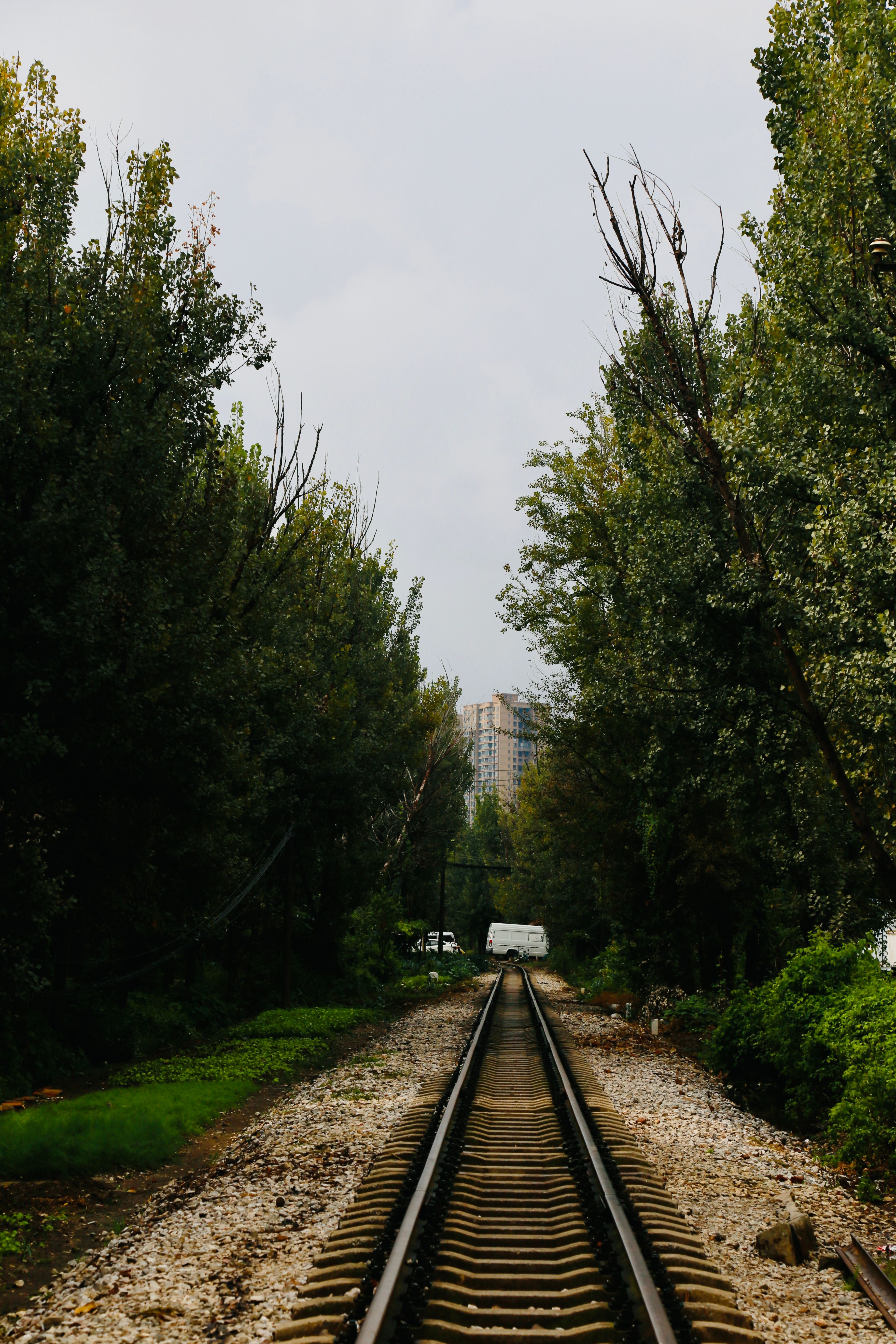 Railway Tracks between Trees Running towards City · Free Stock Photo