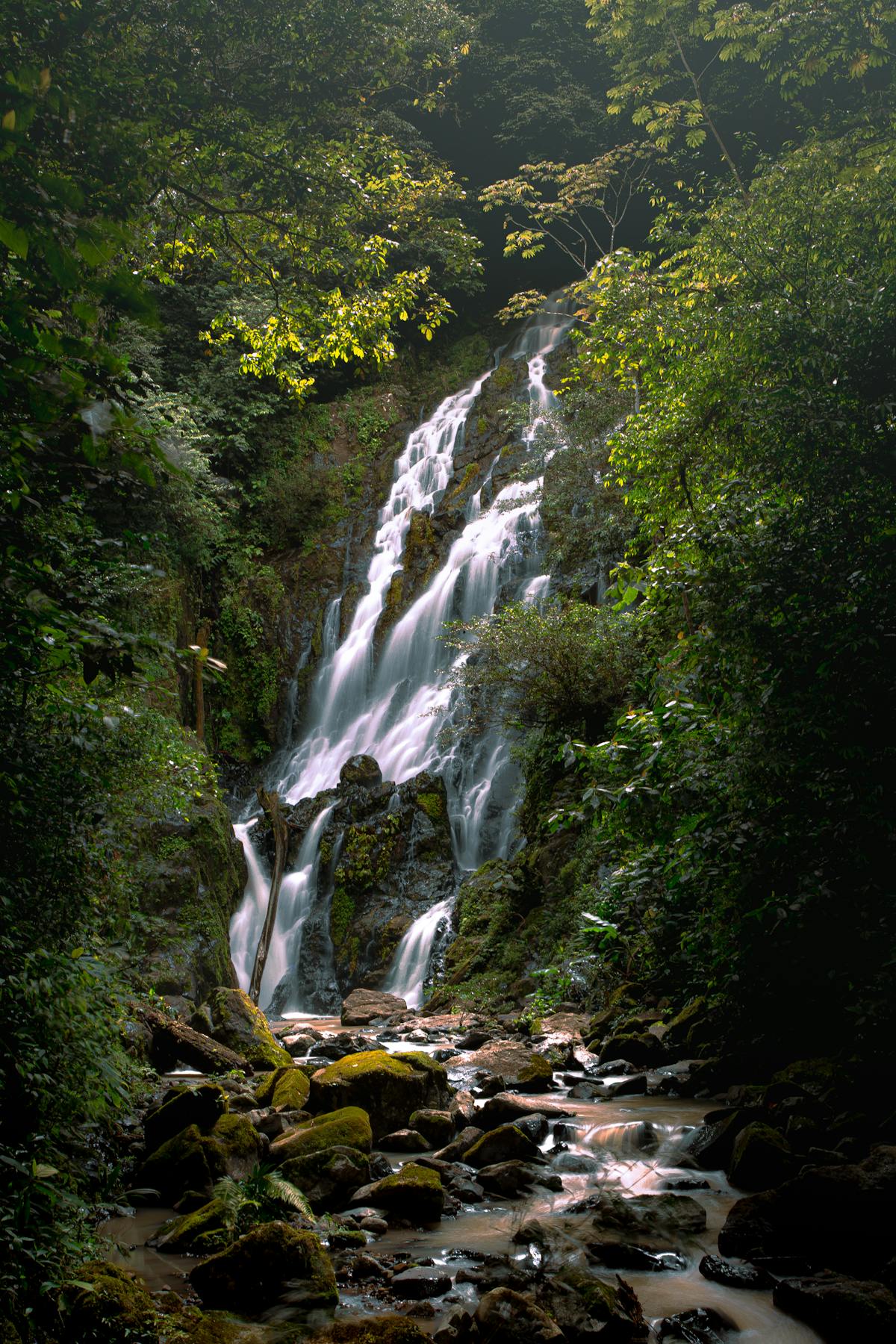 Waterfall Forest 2mb Photos, Download The BEST Free Waterfall Forest ...