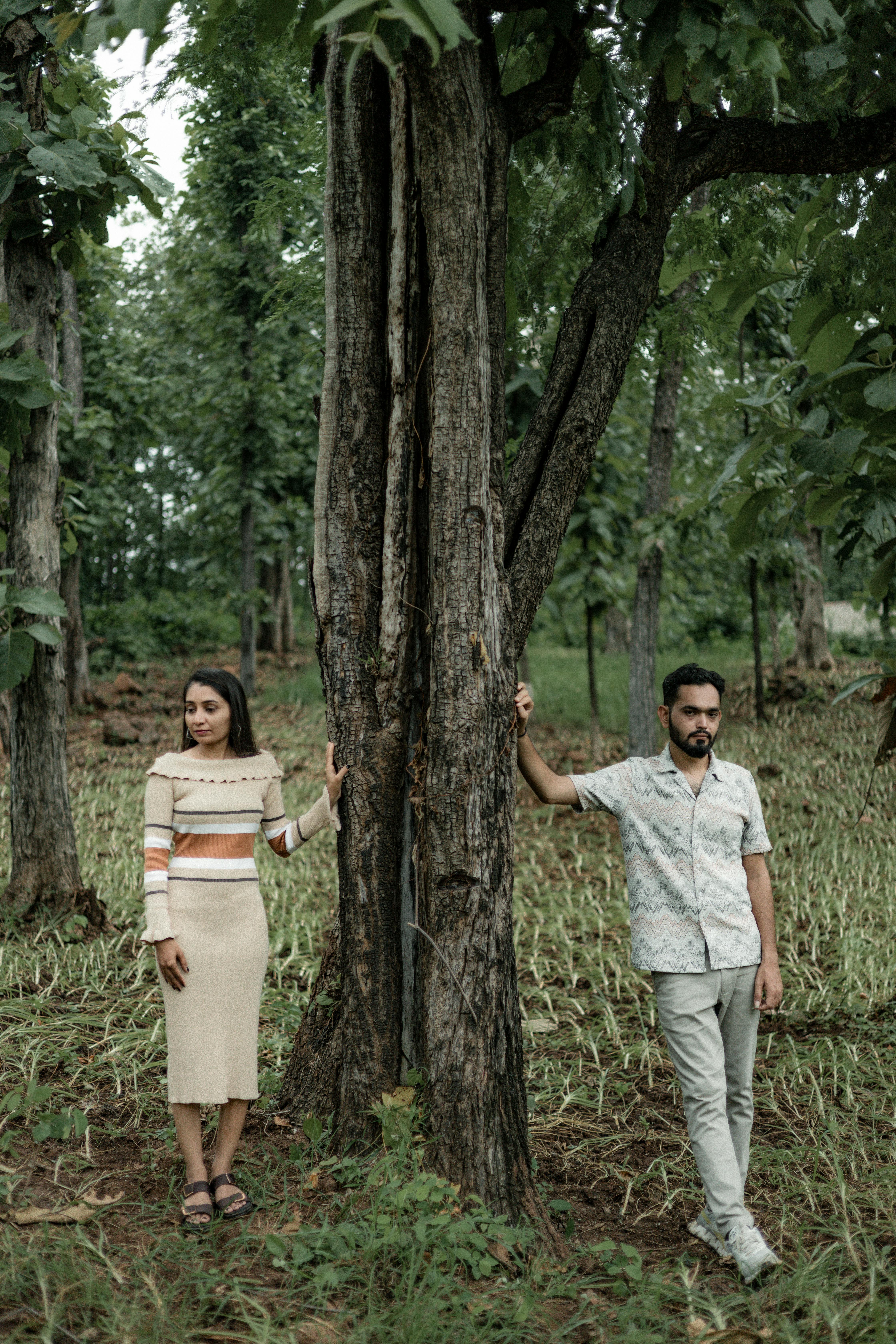 Tree between Couple · Free Stock Photo