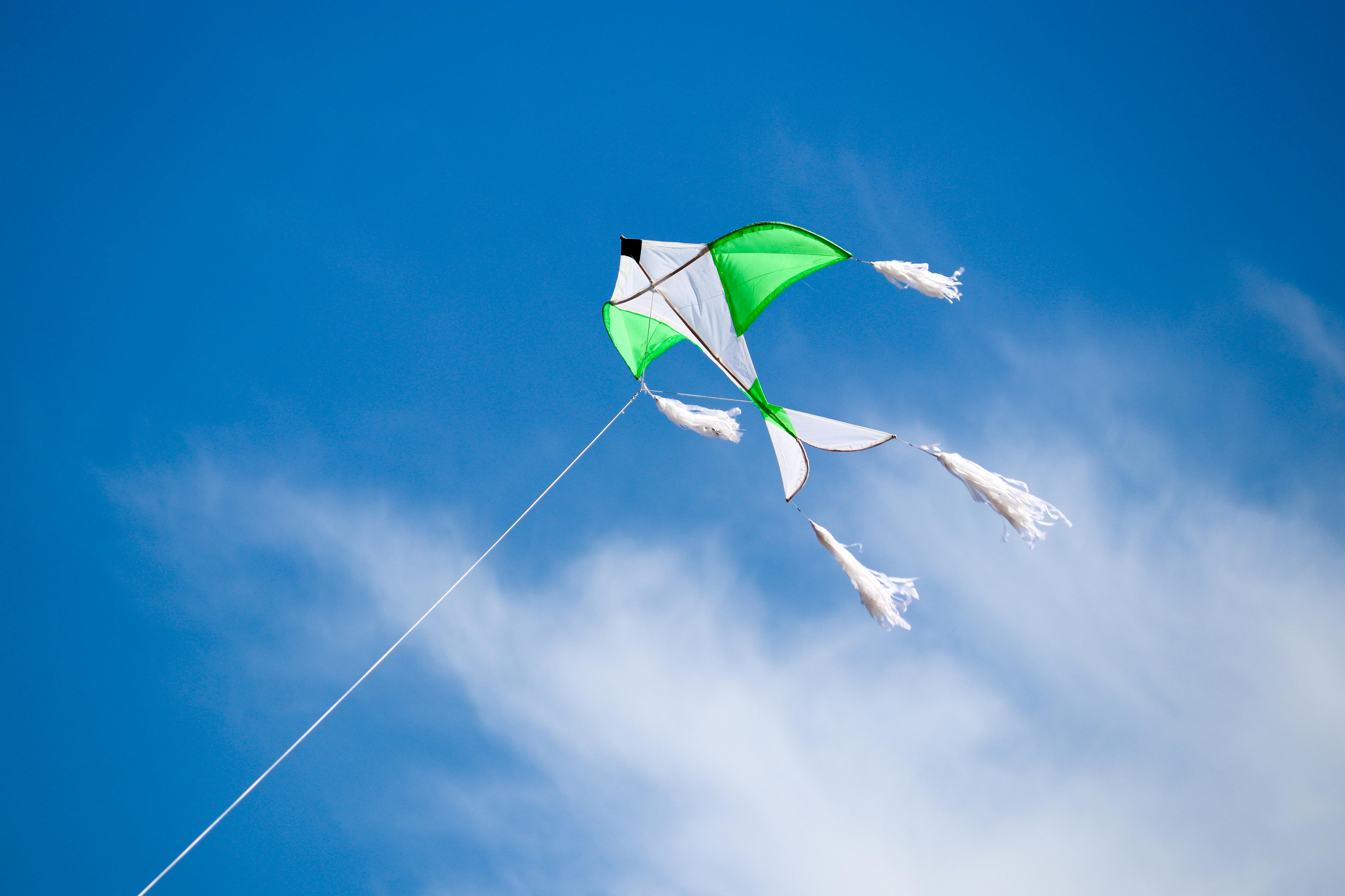Flying Kite in Shape of Fish · Free Stock Photo