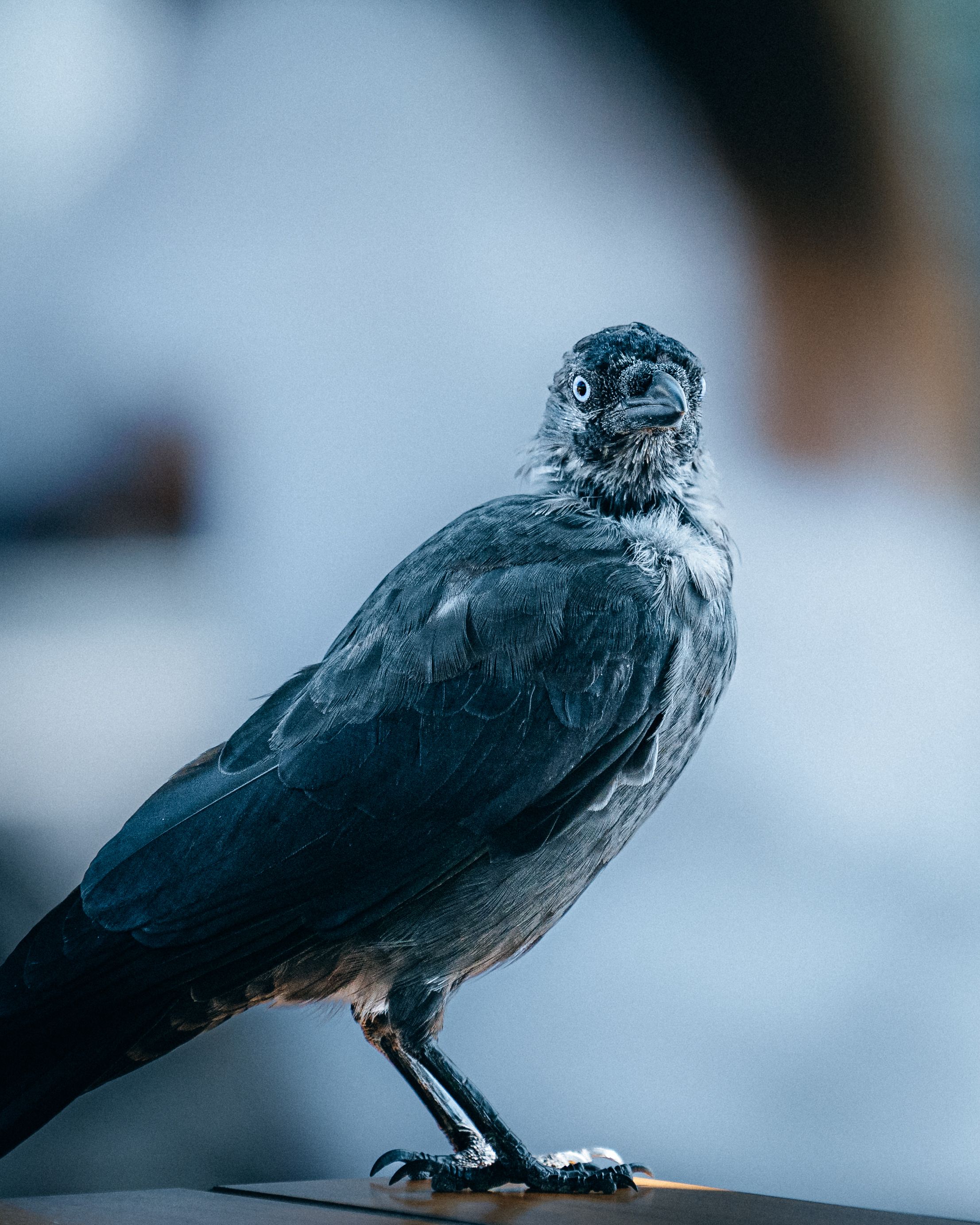 Sliver Photos, Download The BEST Free Sliver Stock Photos & HD Images