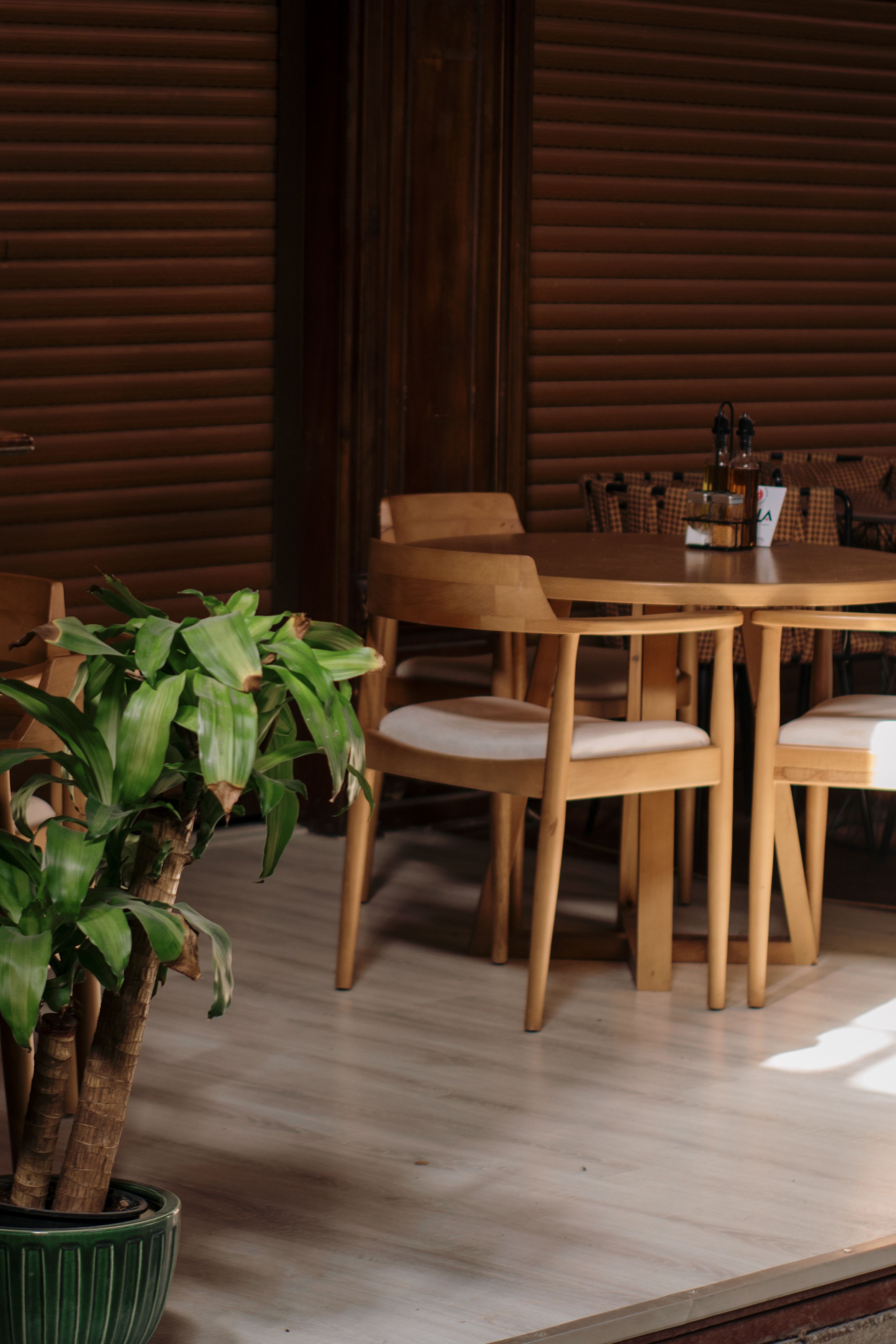 Plant and Chairs around Table behind · Free Stock Photo