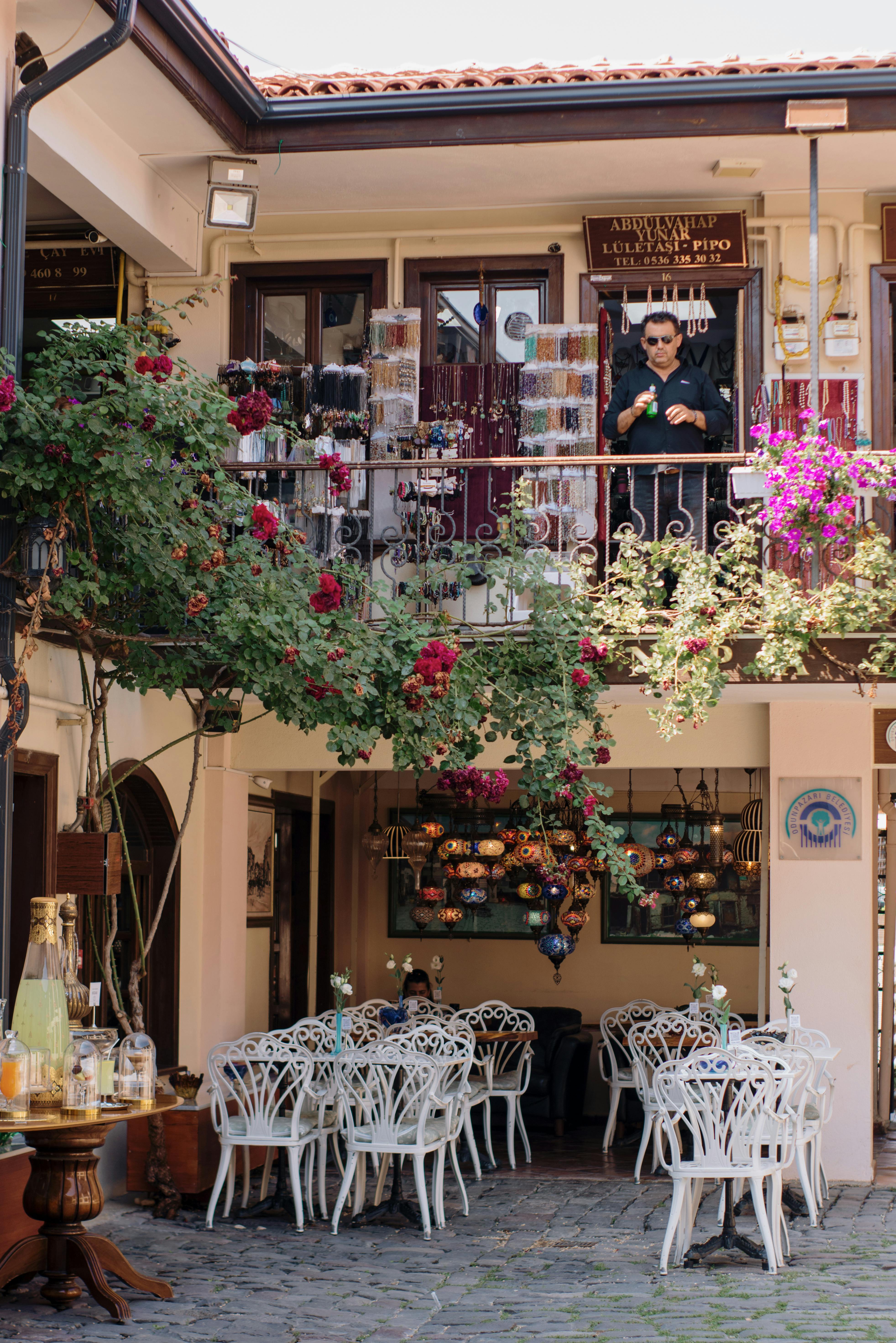 Ilan Vines Photos, Download The BEST Free Ilan Vines Stock Photos & HD ...