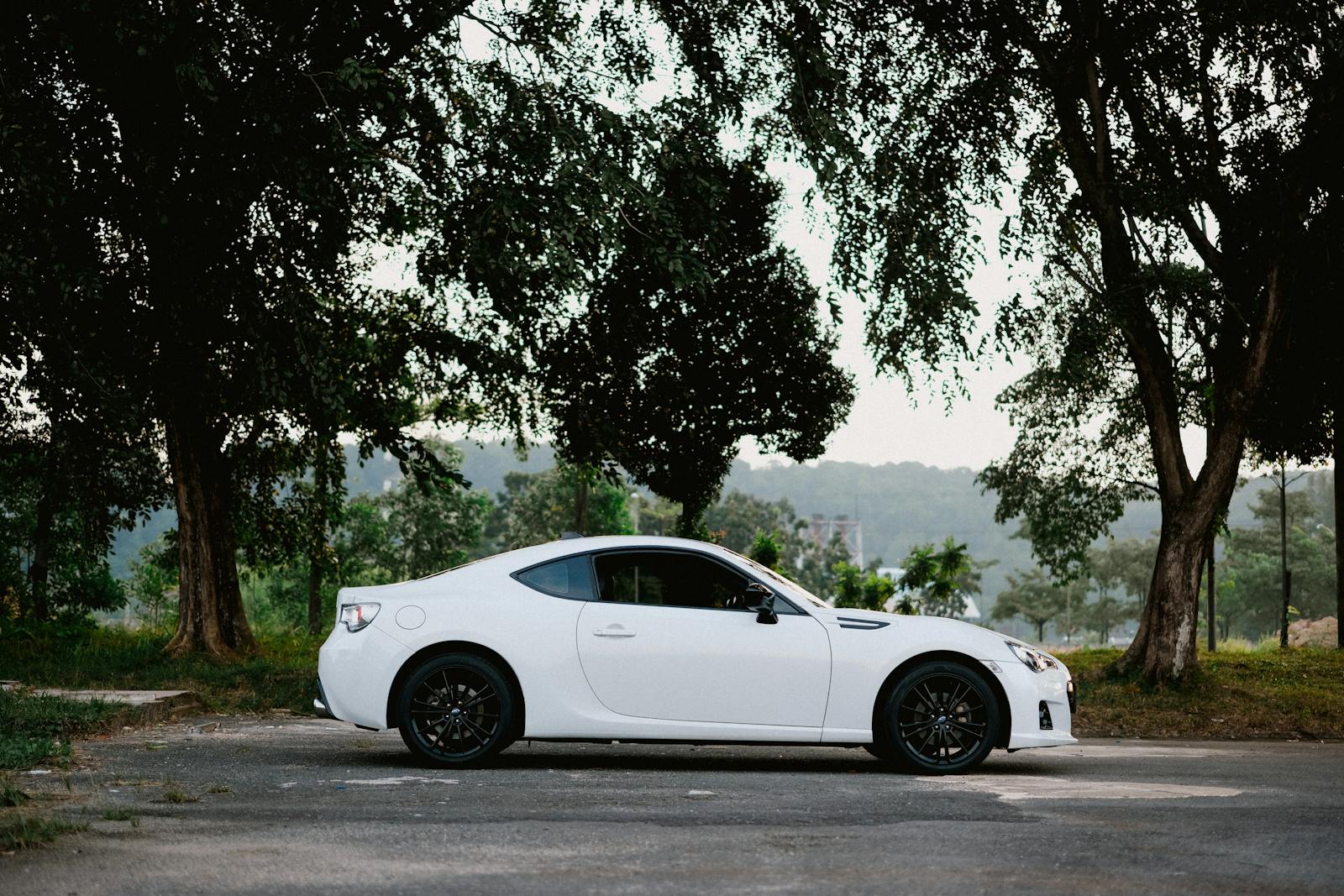 Free Non Copyrighted Photos, Download The BEST Free Free Non ...