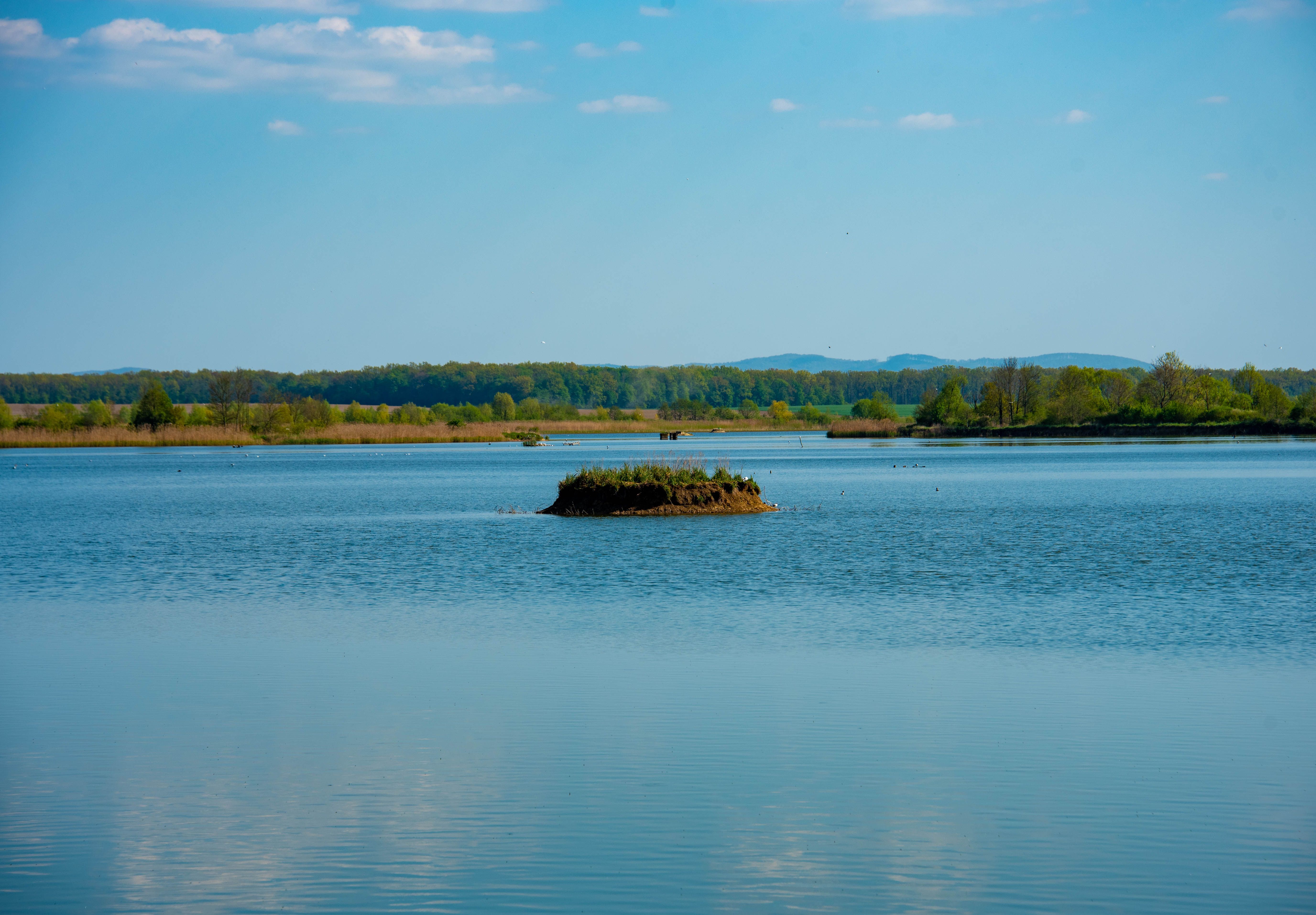 Island on Lake in Countryside · Free Stock Photo