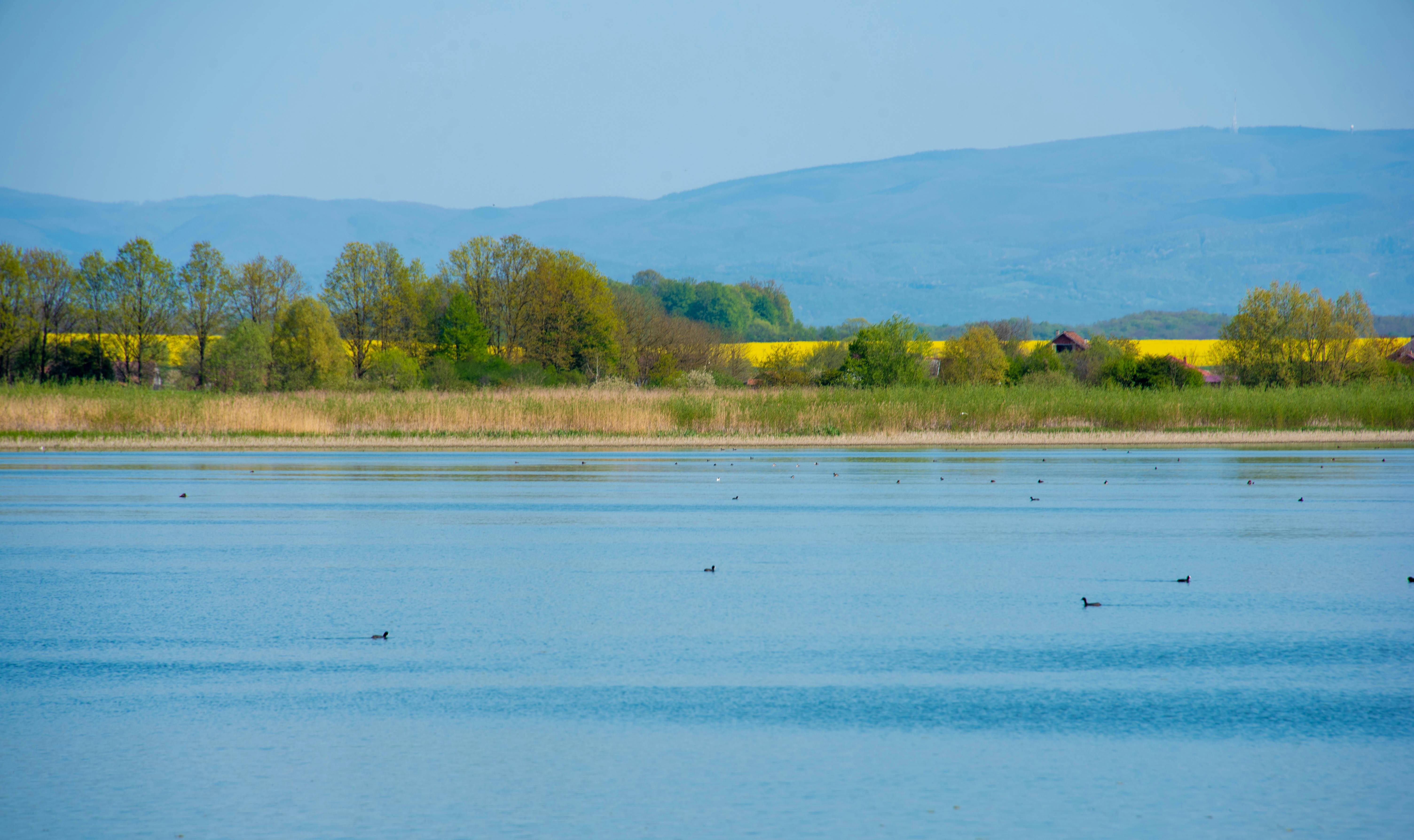 Nature Lake Photos, Download The BEST Free Nature Lake Stock Photos ...