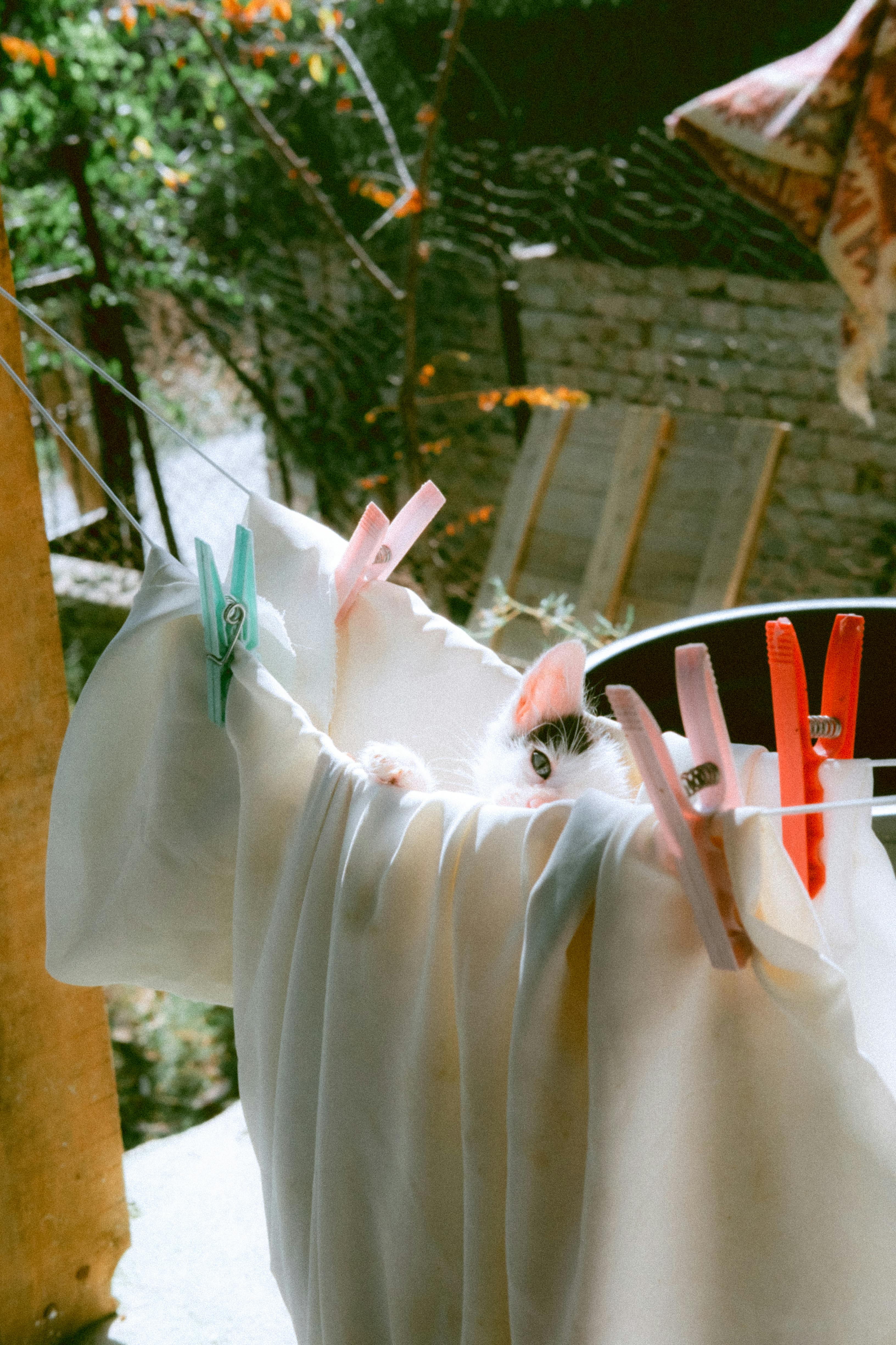 White Cloth Drying on Strings · Free Stock Photo