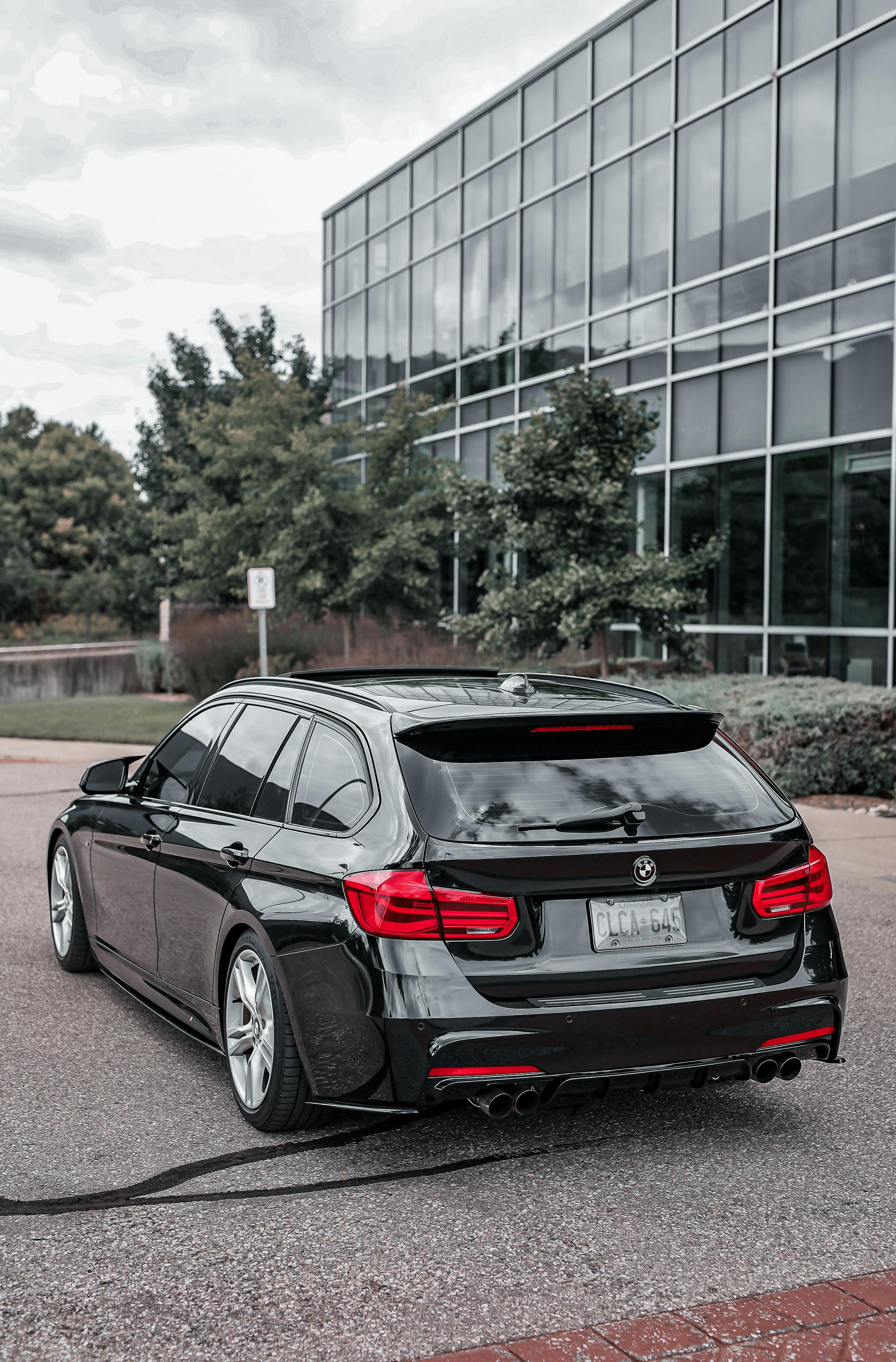 3 Capre Photos, Download The BEST Free 3 Capre Stock Photos & HD Images