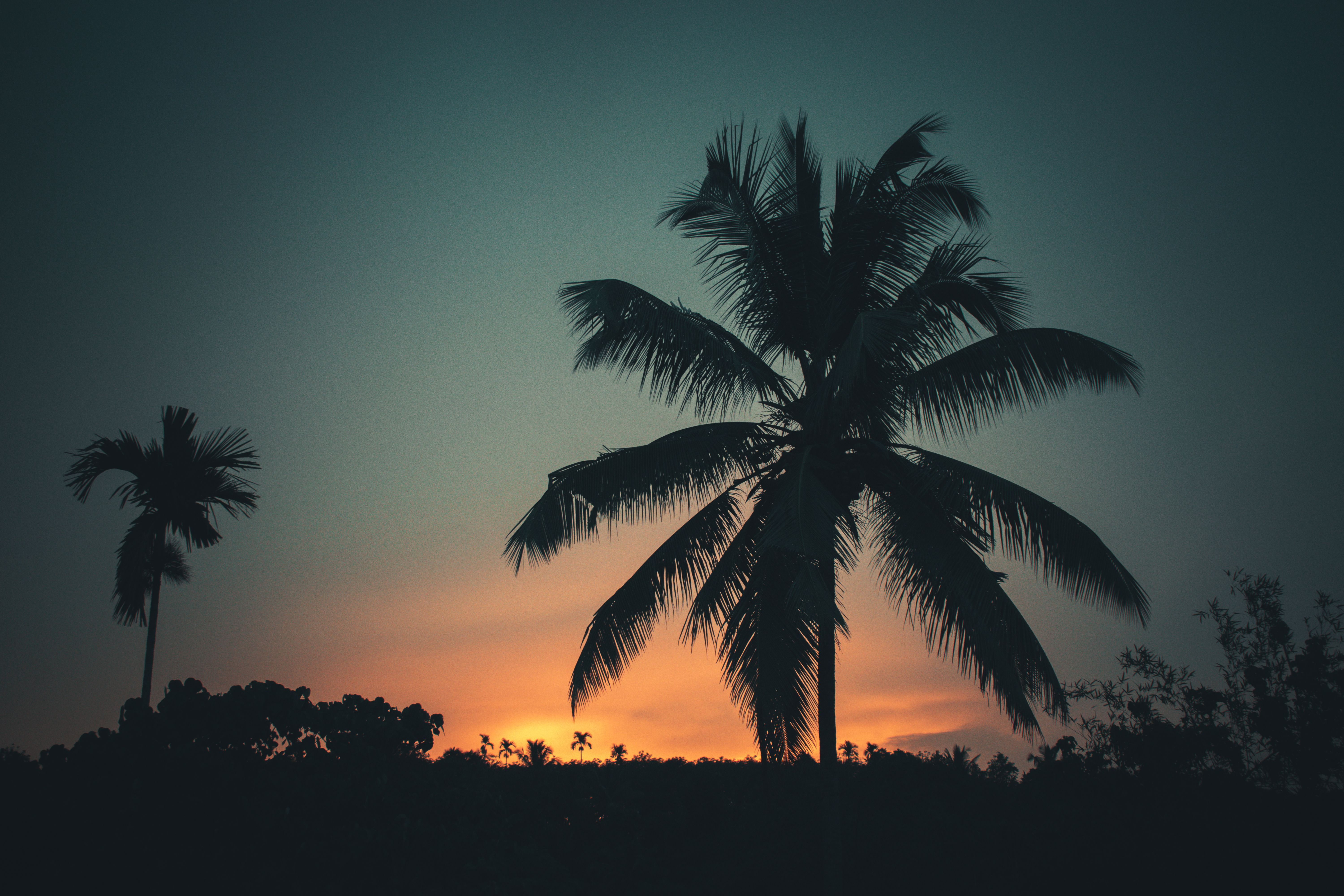 Nature Sad Wallpaper Photos, Download The BEST Free Nature Sad ...