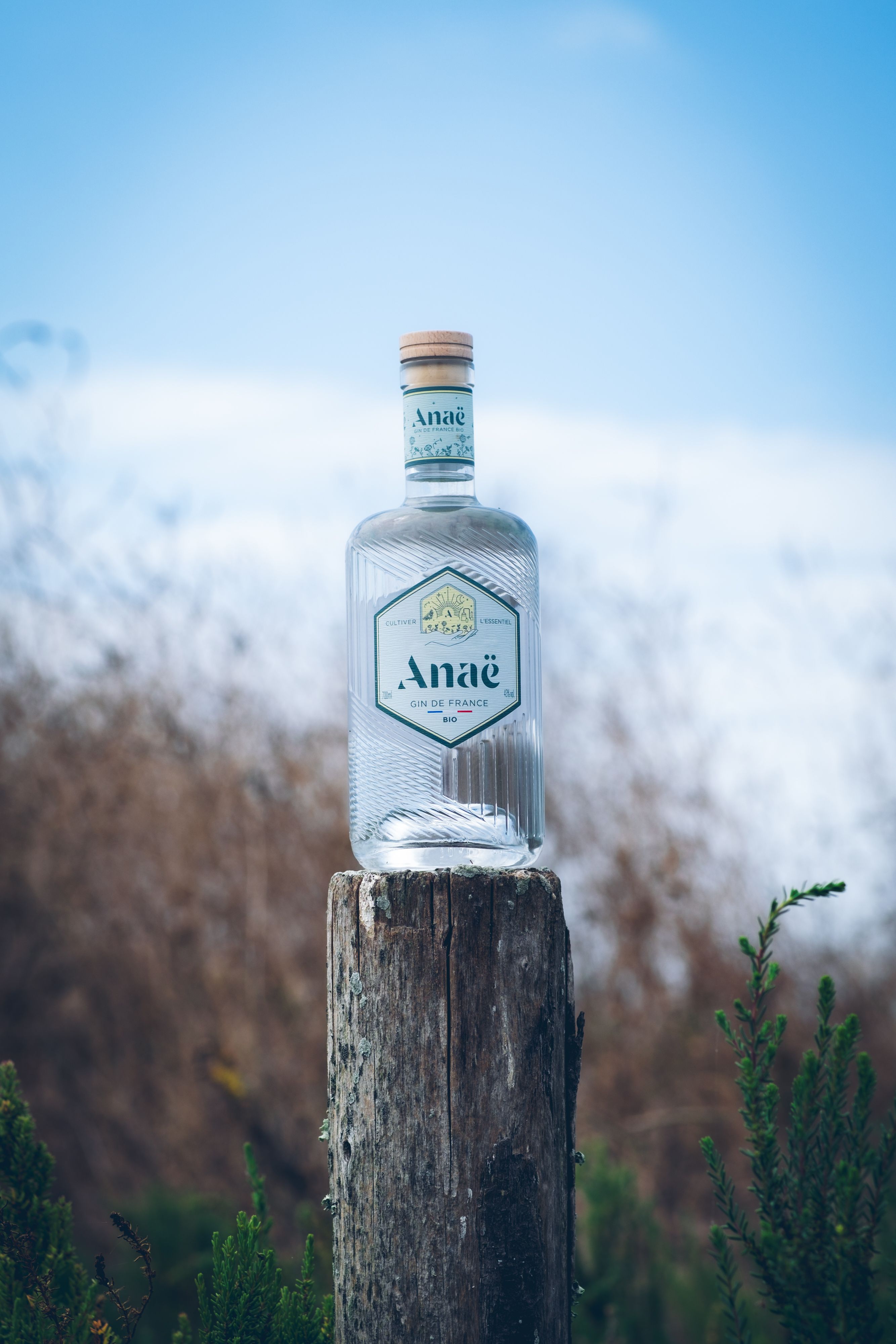 Anae Photos, Download The BEST Free Anae Stock Photos & HD Images