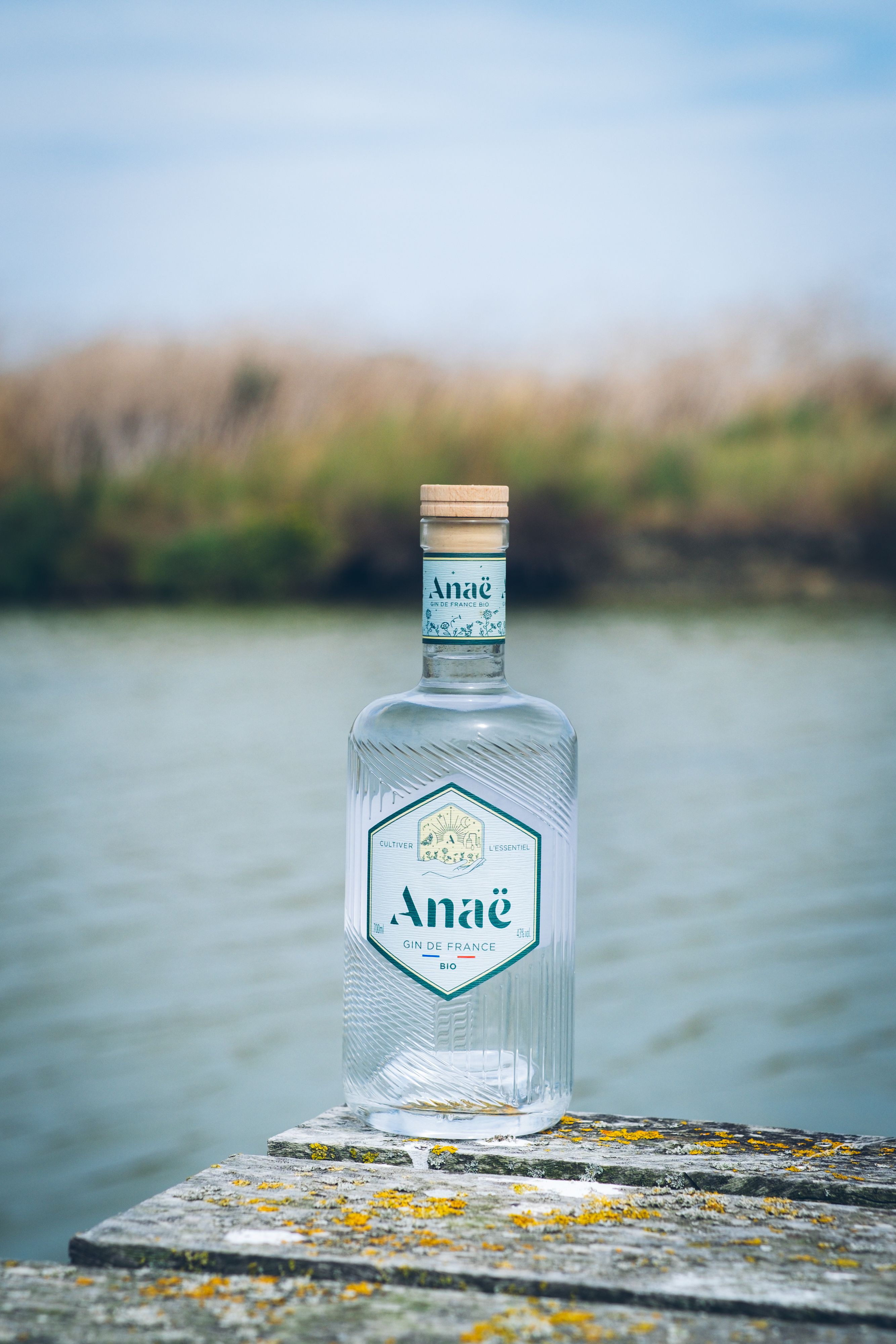 Product Ana Photos, Download The BEST Free Product Ana Stock Photos ...