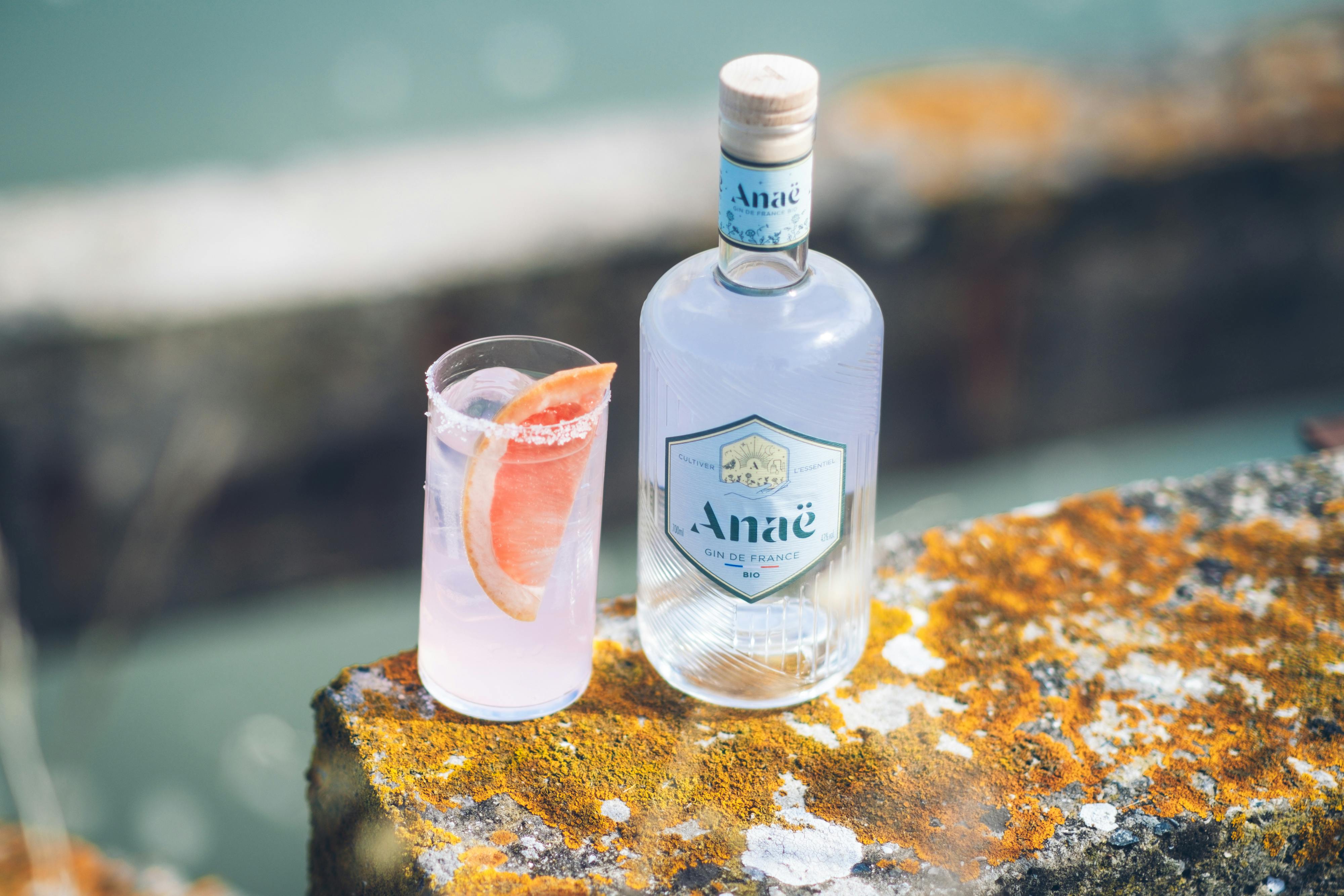 Gin Bottle and Cocktail with Fruit Slice · Free Stock Photo