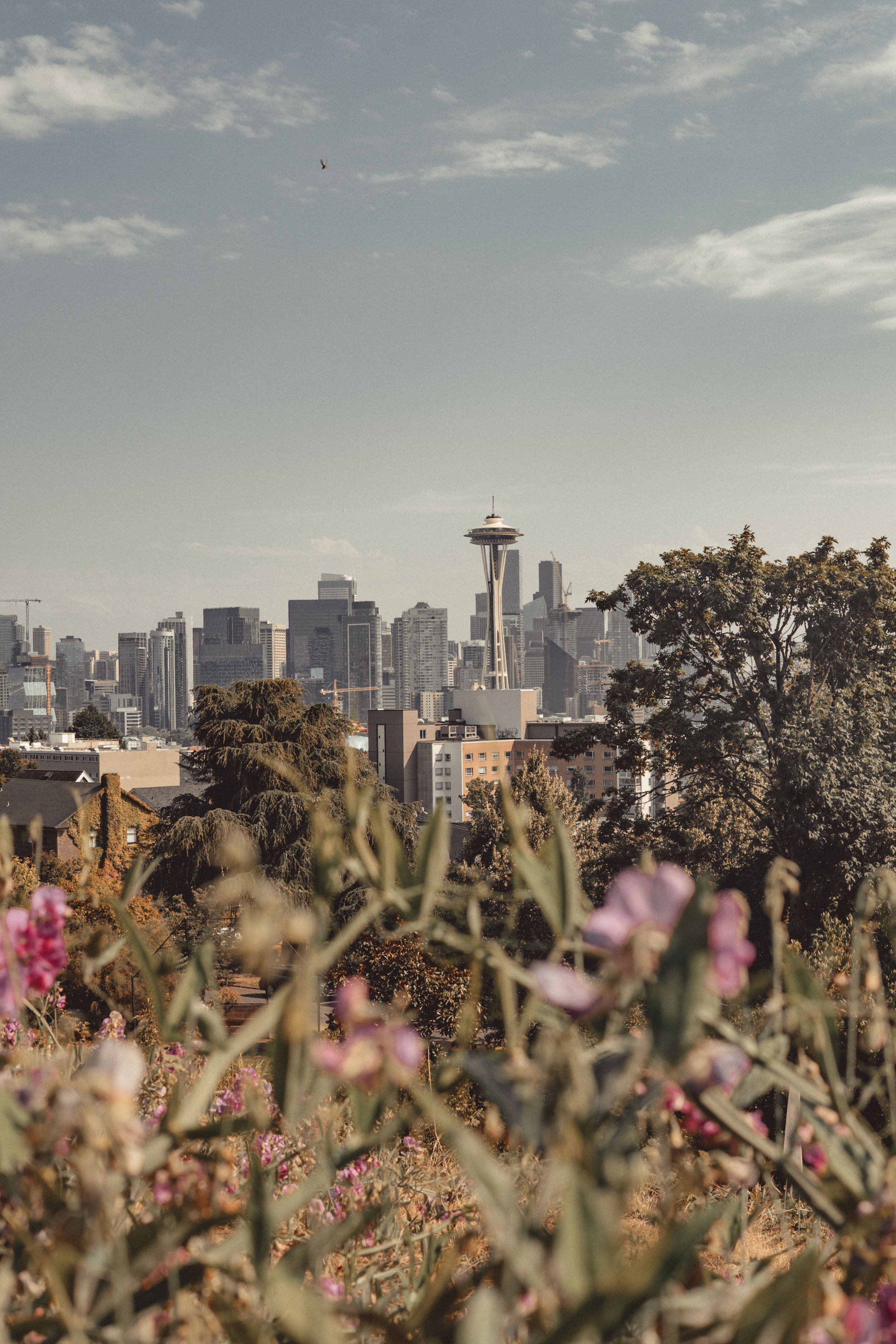 Cityscape Loop Photos, Download The BEST Free Cityscape Loop Stock ...