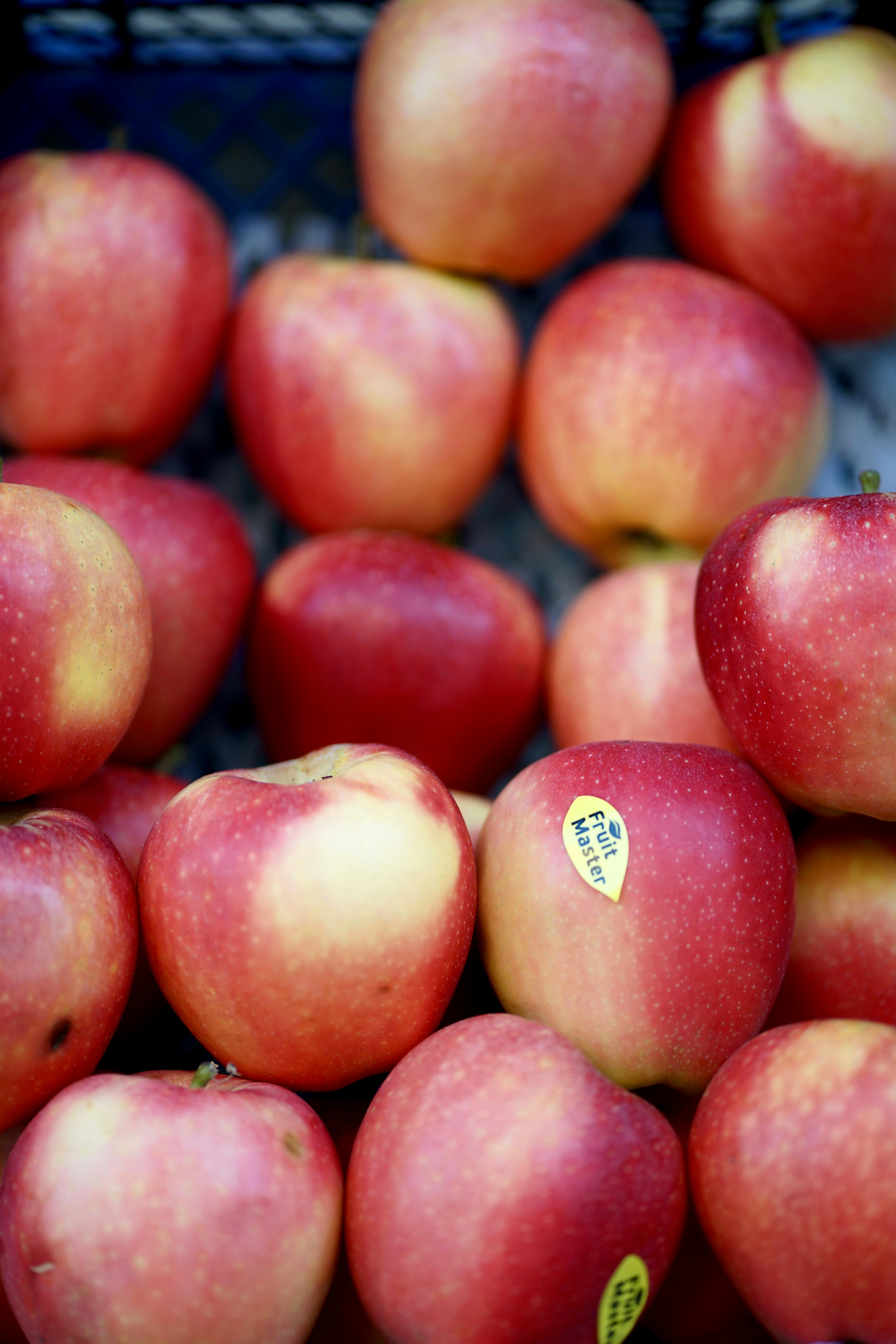 Close-Up Photo Of Apple · Free Stock Photo