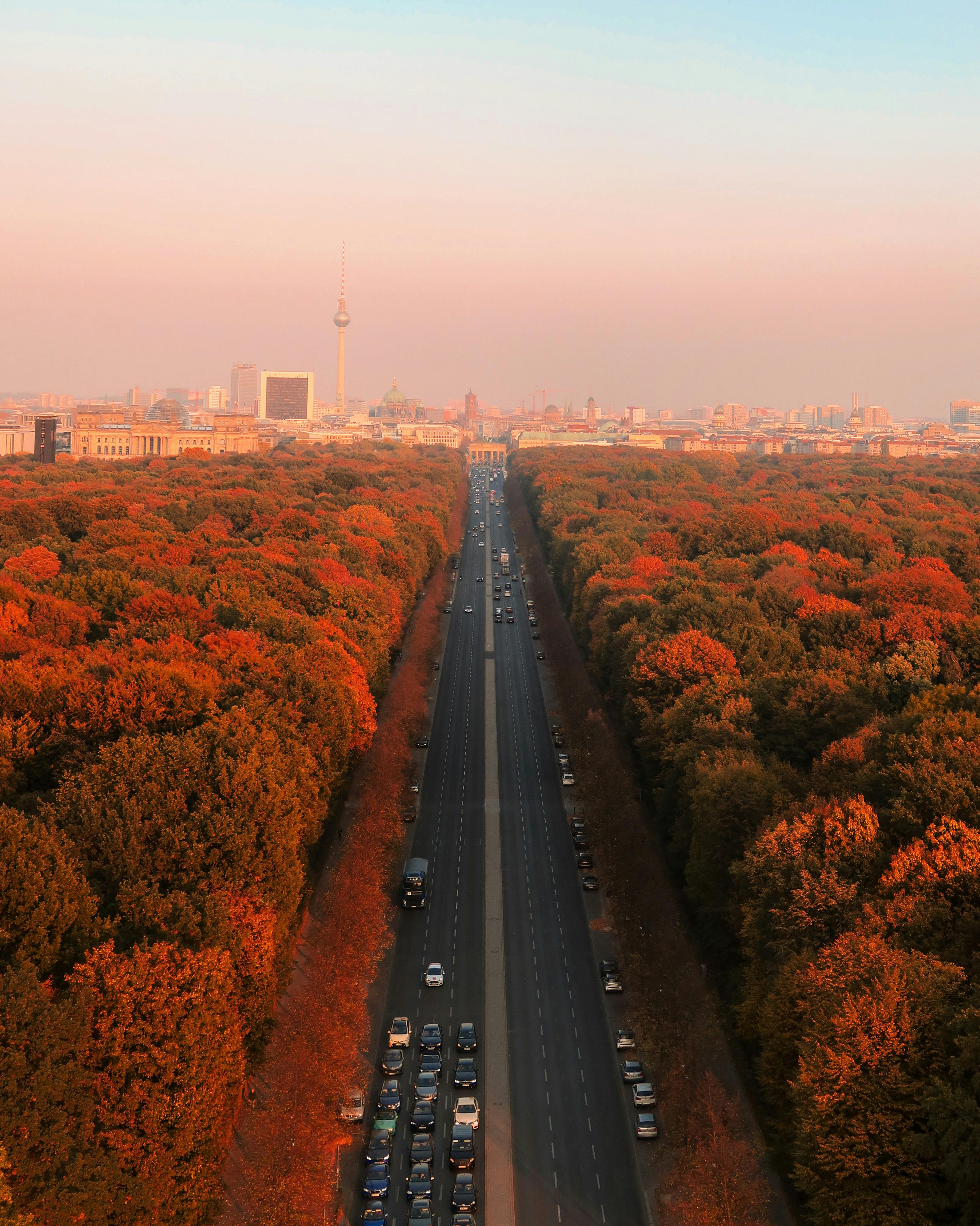 Fall Chart Photos, Download The BEST Free Fall Chart Stock Photos & HD ...