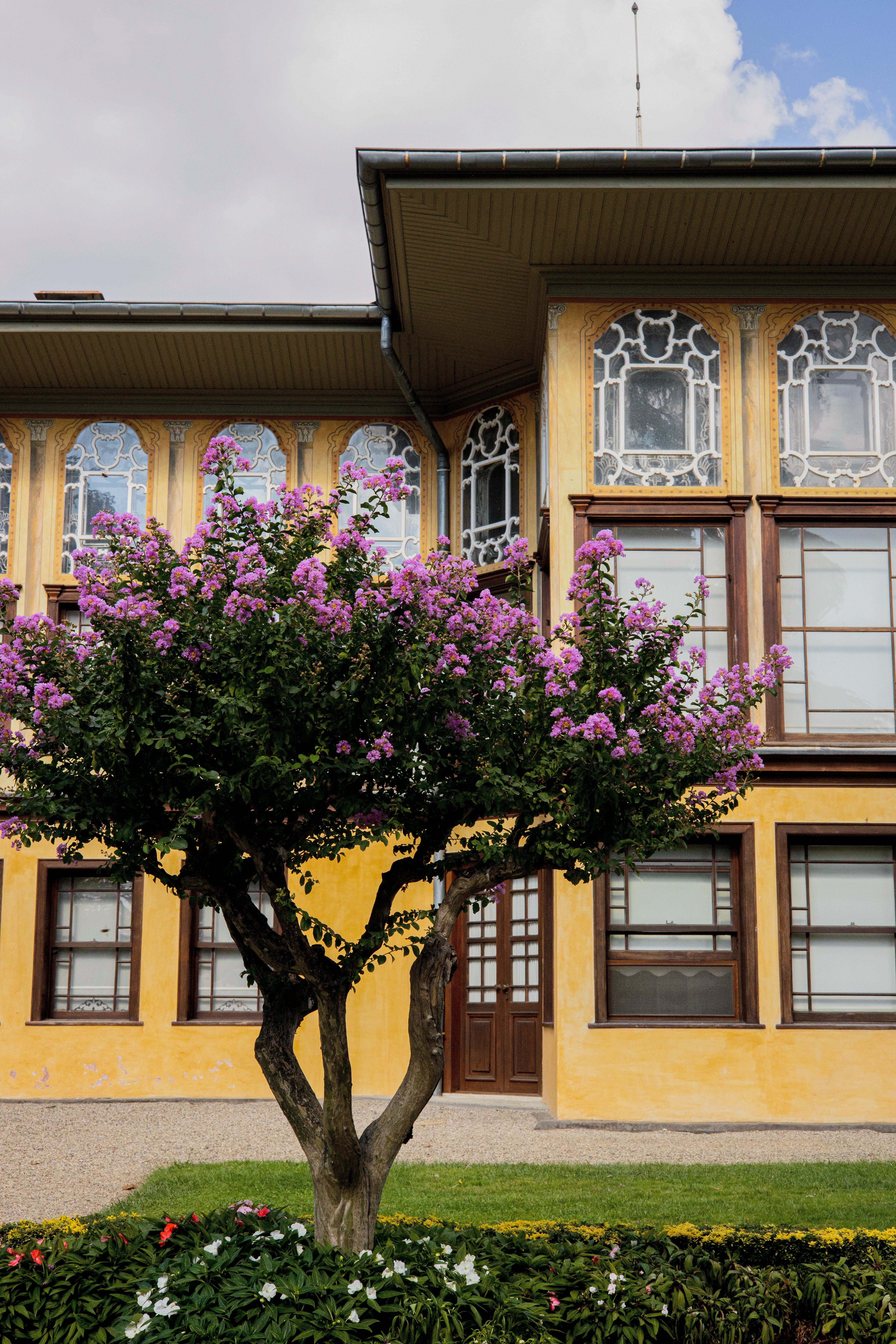 Tree and Mansion behind · Free Stock Photo