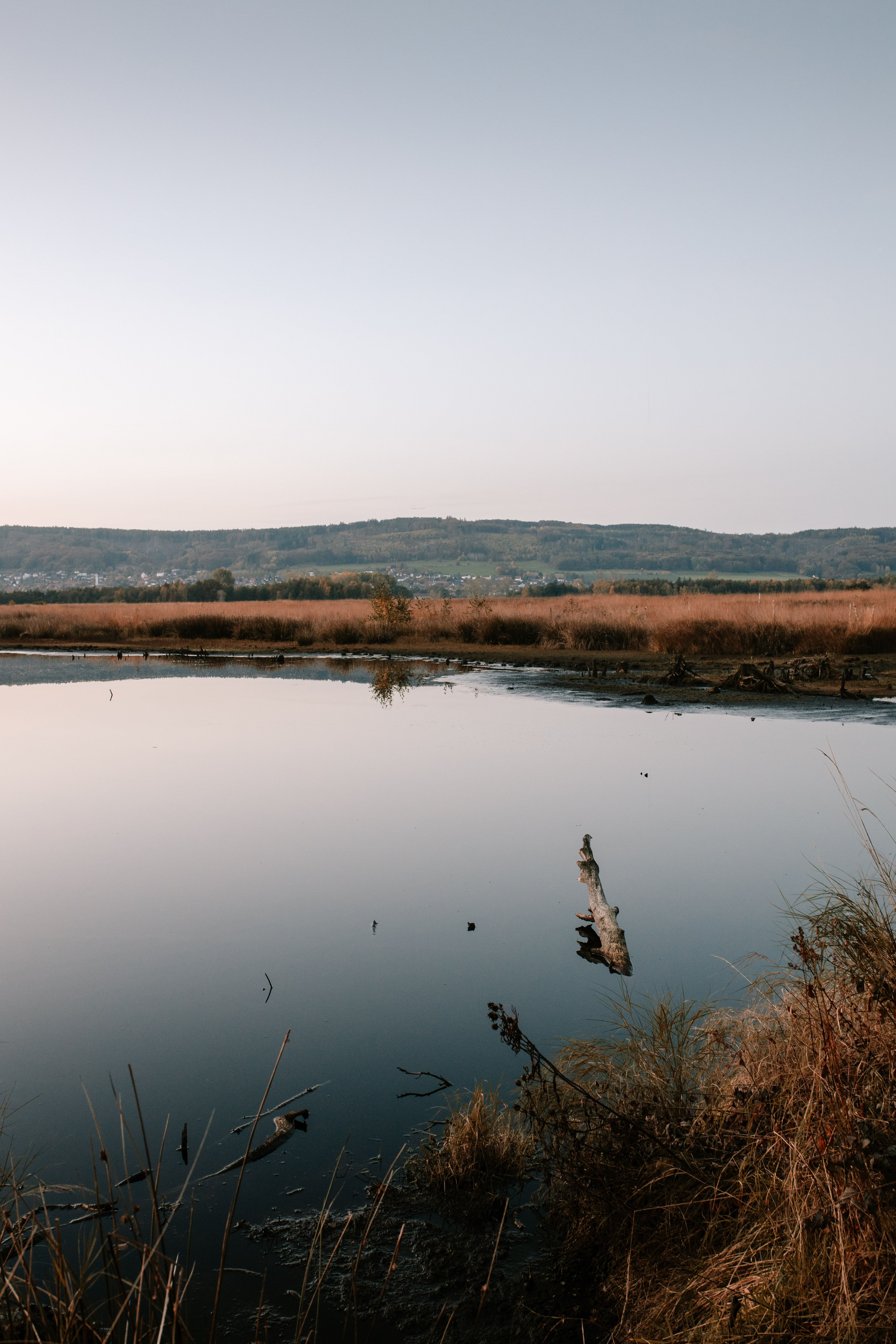 Lake in Countryside · Free Stock Photo