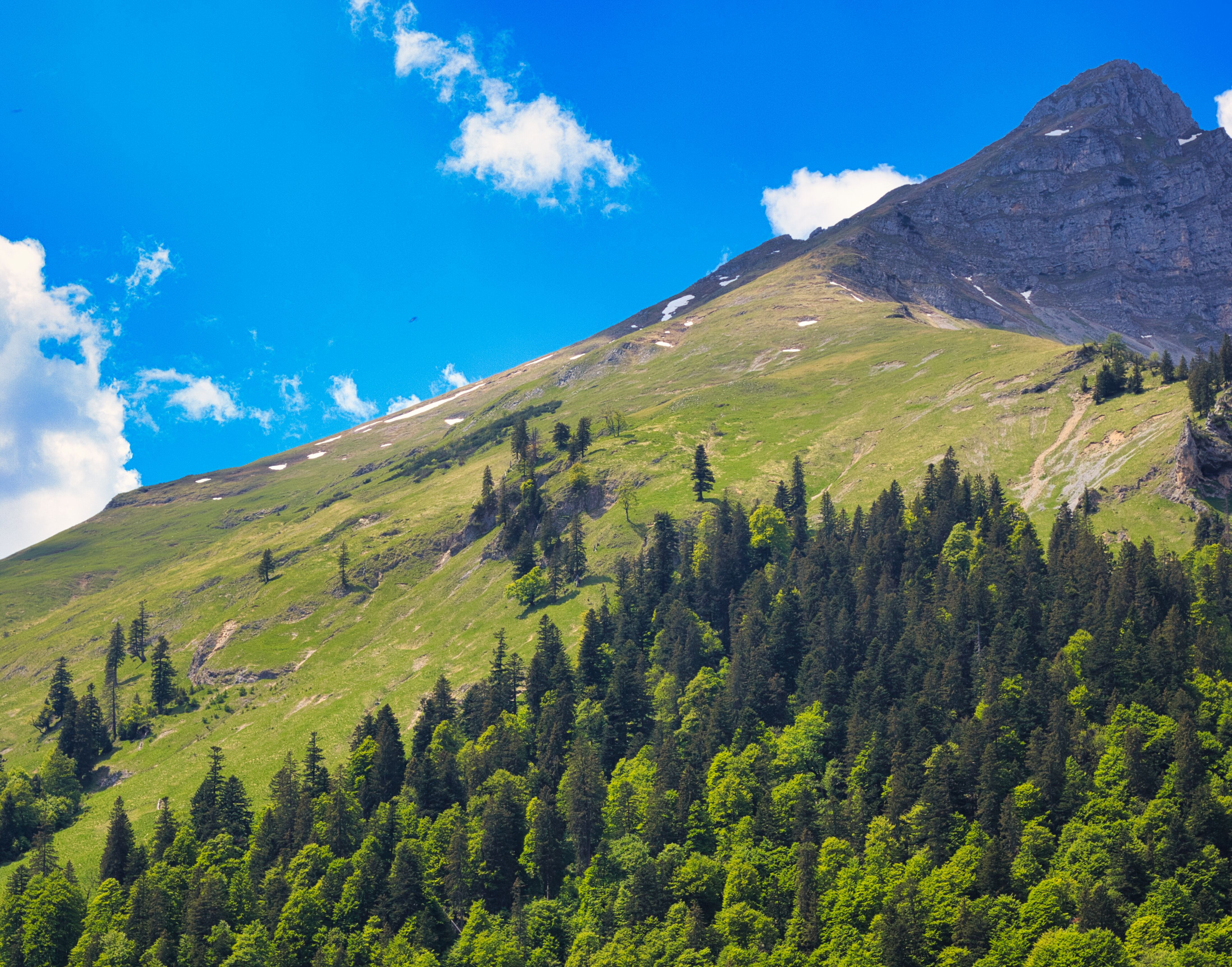 Summer Photo of an Alpine Valley · Free Stock Photo