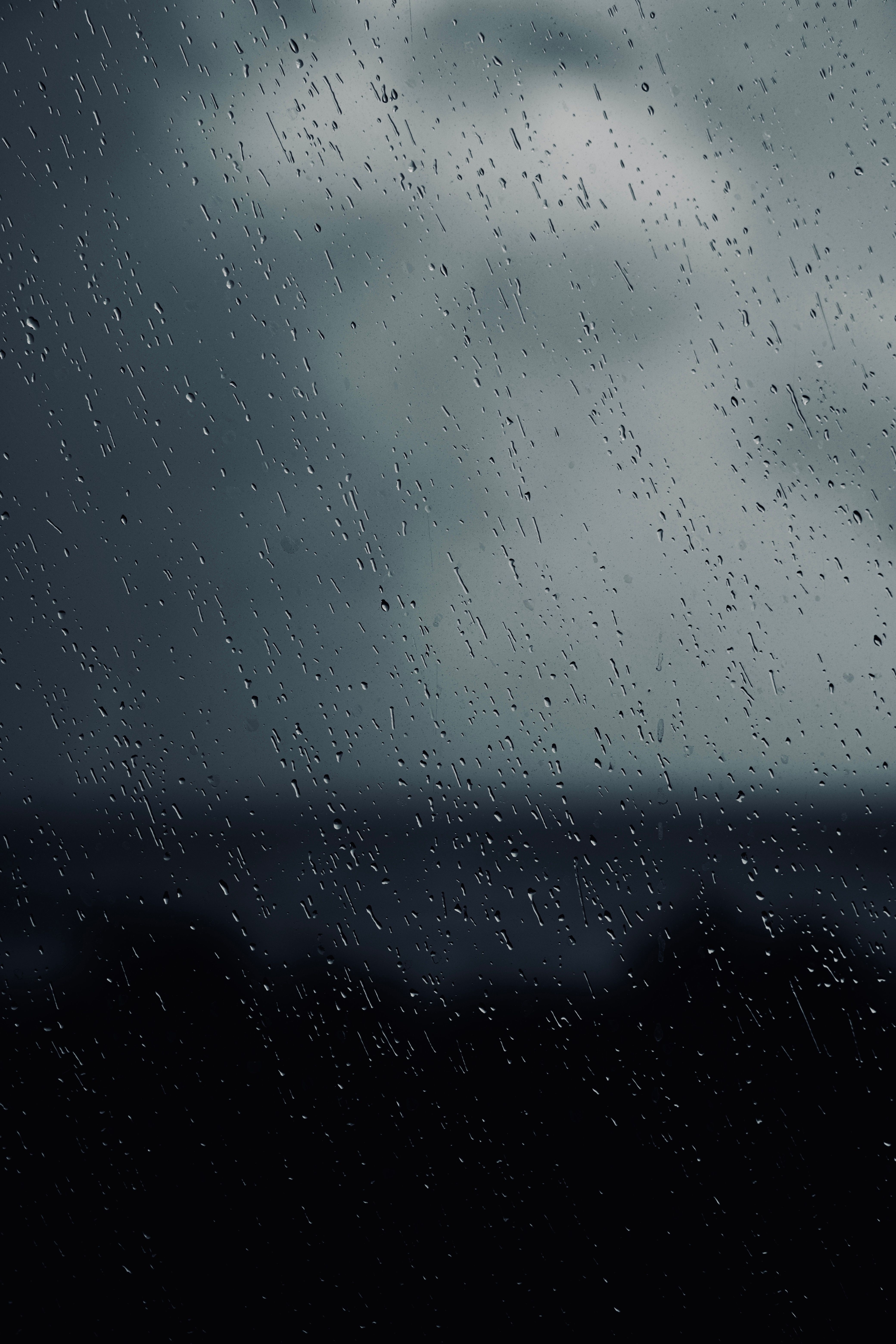 Rain Ronin Photos, Download The BEST Free Rain Ronin Stock Photos & HD ...