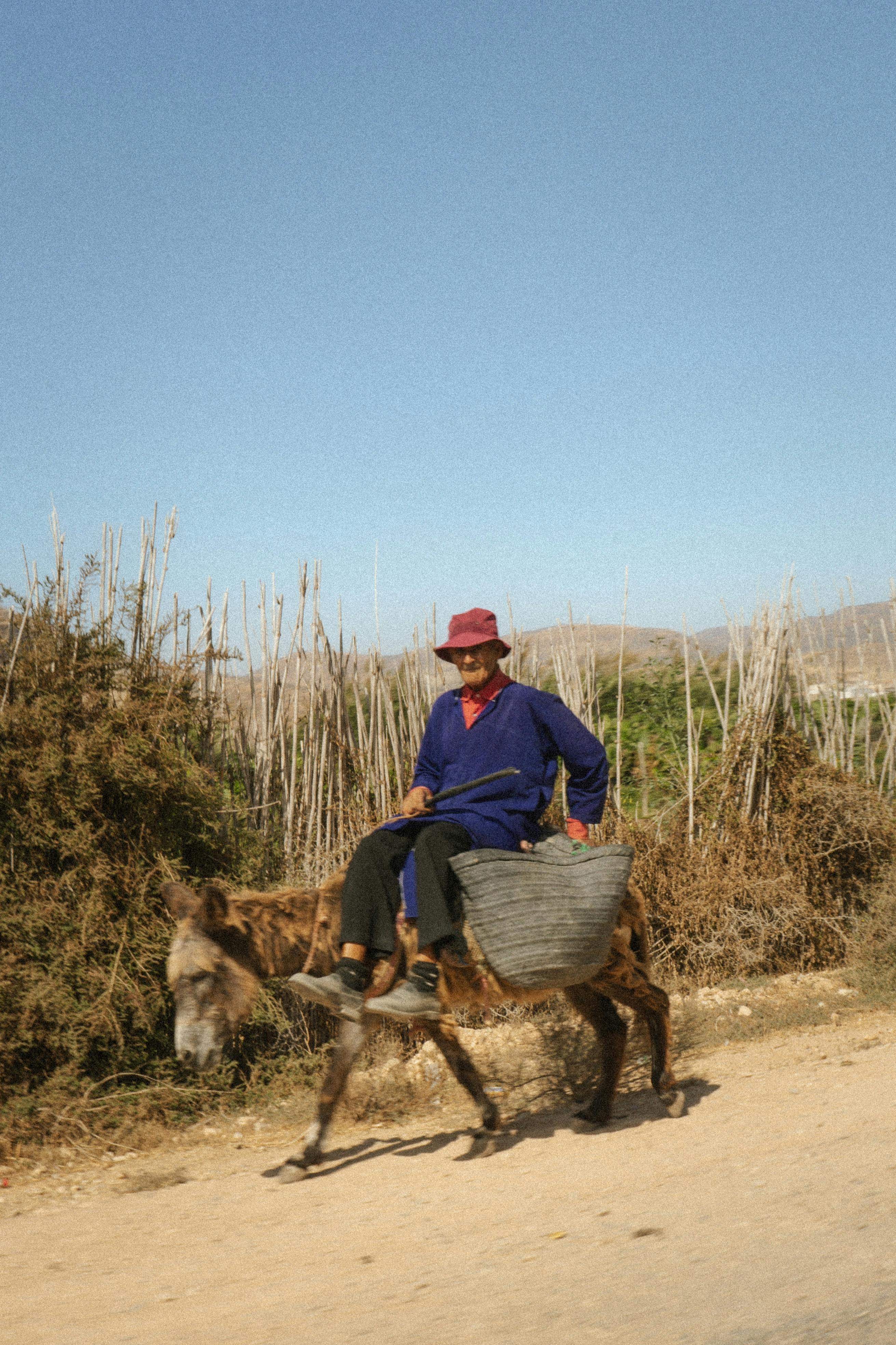 Man Leading a Mule Pulling Fully Loaded Carriage · Free Stock Photo