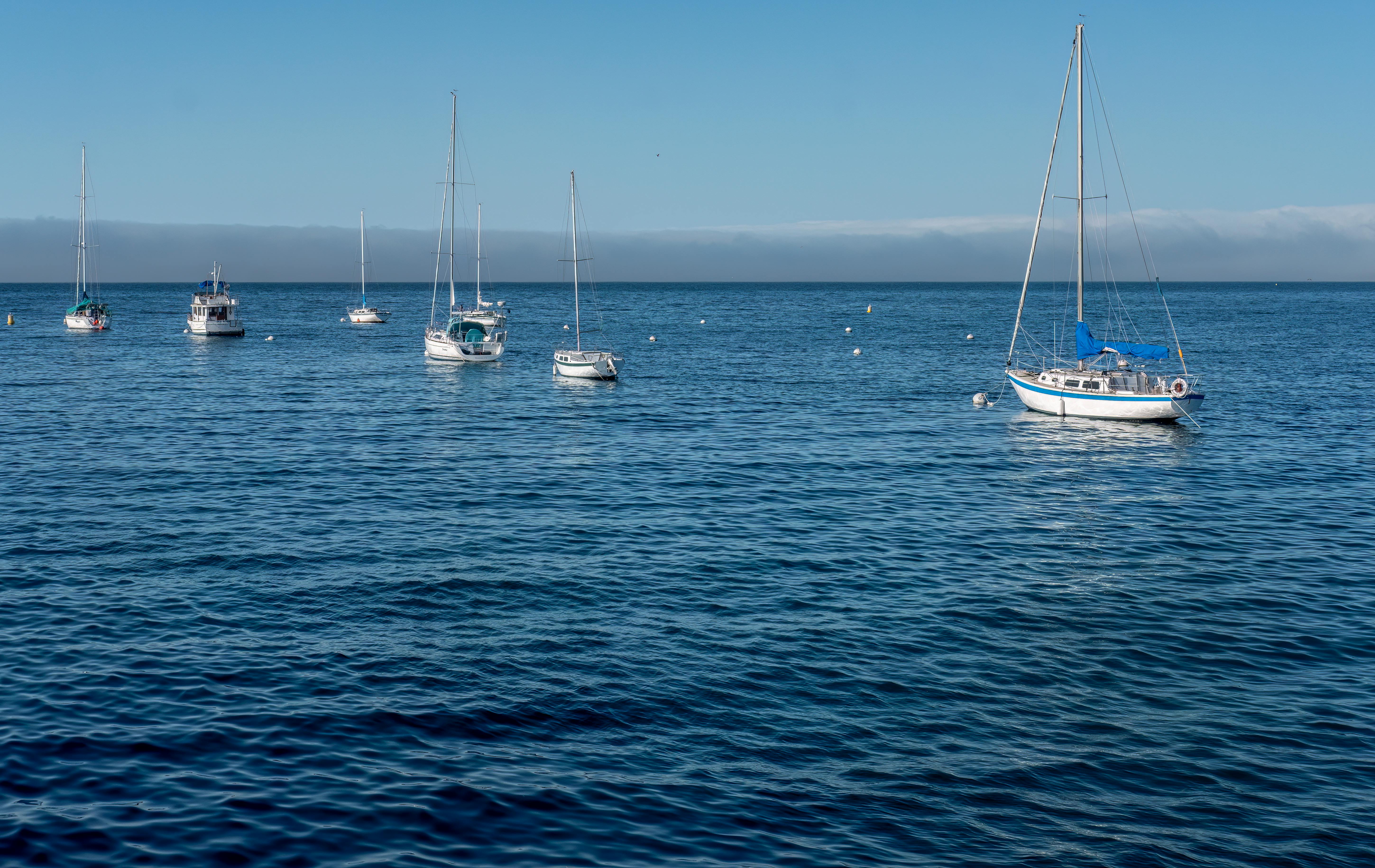 Orange Sailboat on Body of Water · Free Stock Photo