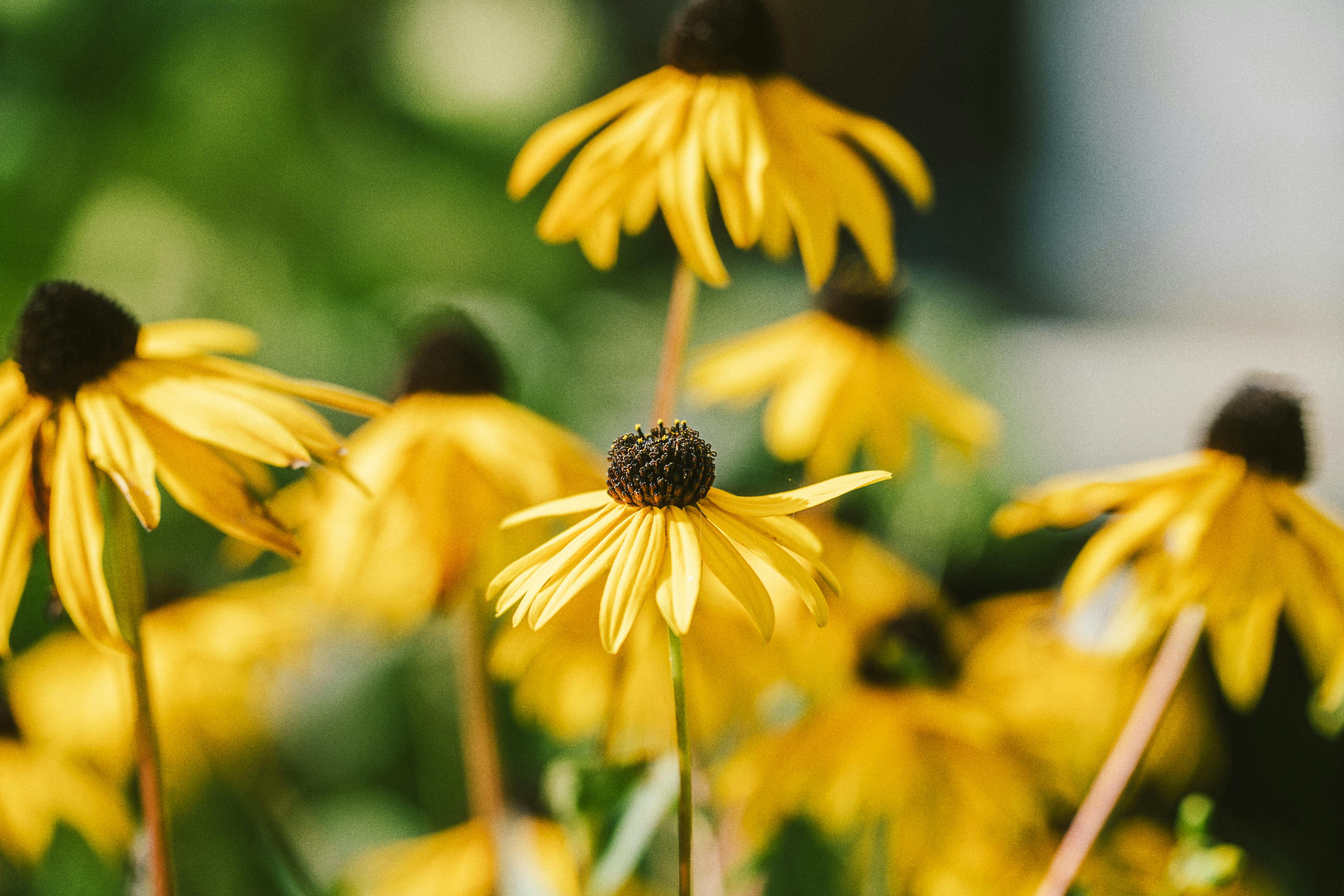 Alex Shuper - 摄影