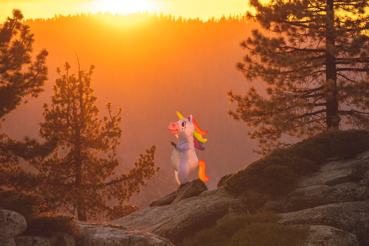 Unicorn Photos, Download The BEST Free Unicorn Stock Photos & HD Images