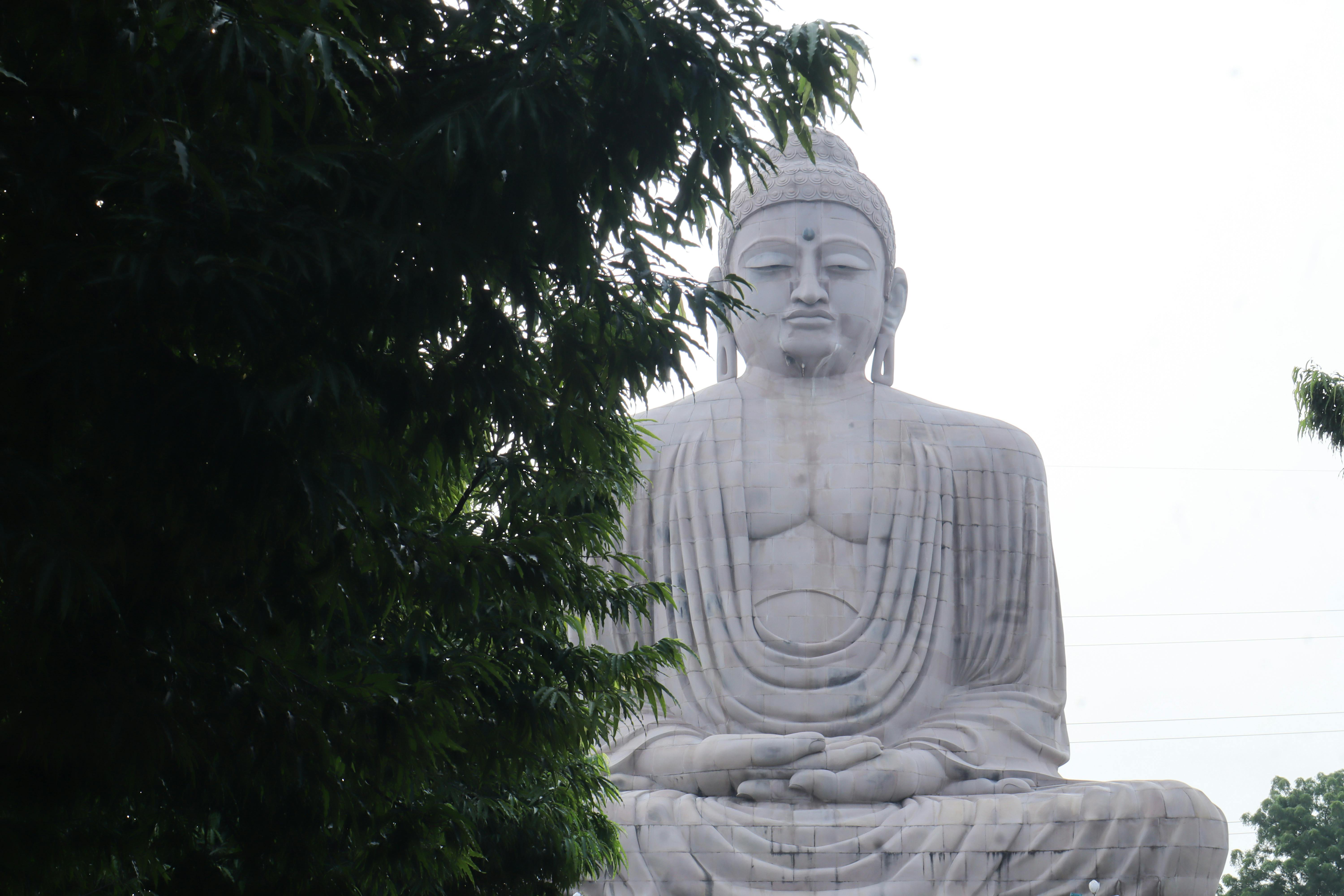 The Great Buddha Statue in Bodh Gaya in India · Free Stock Photo