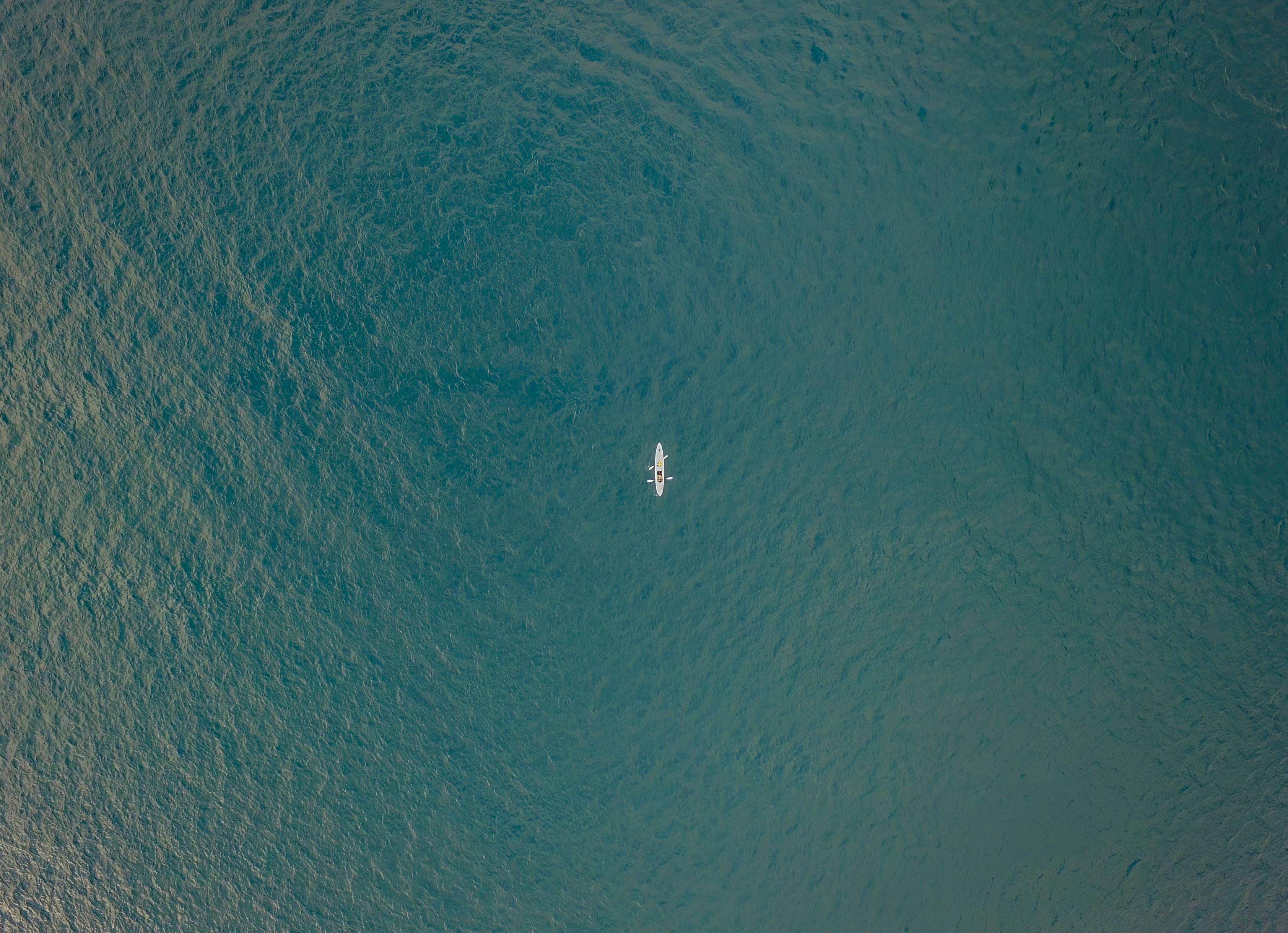 High Angle Shot Of People Rowing Boat · Free Stock Photo