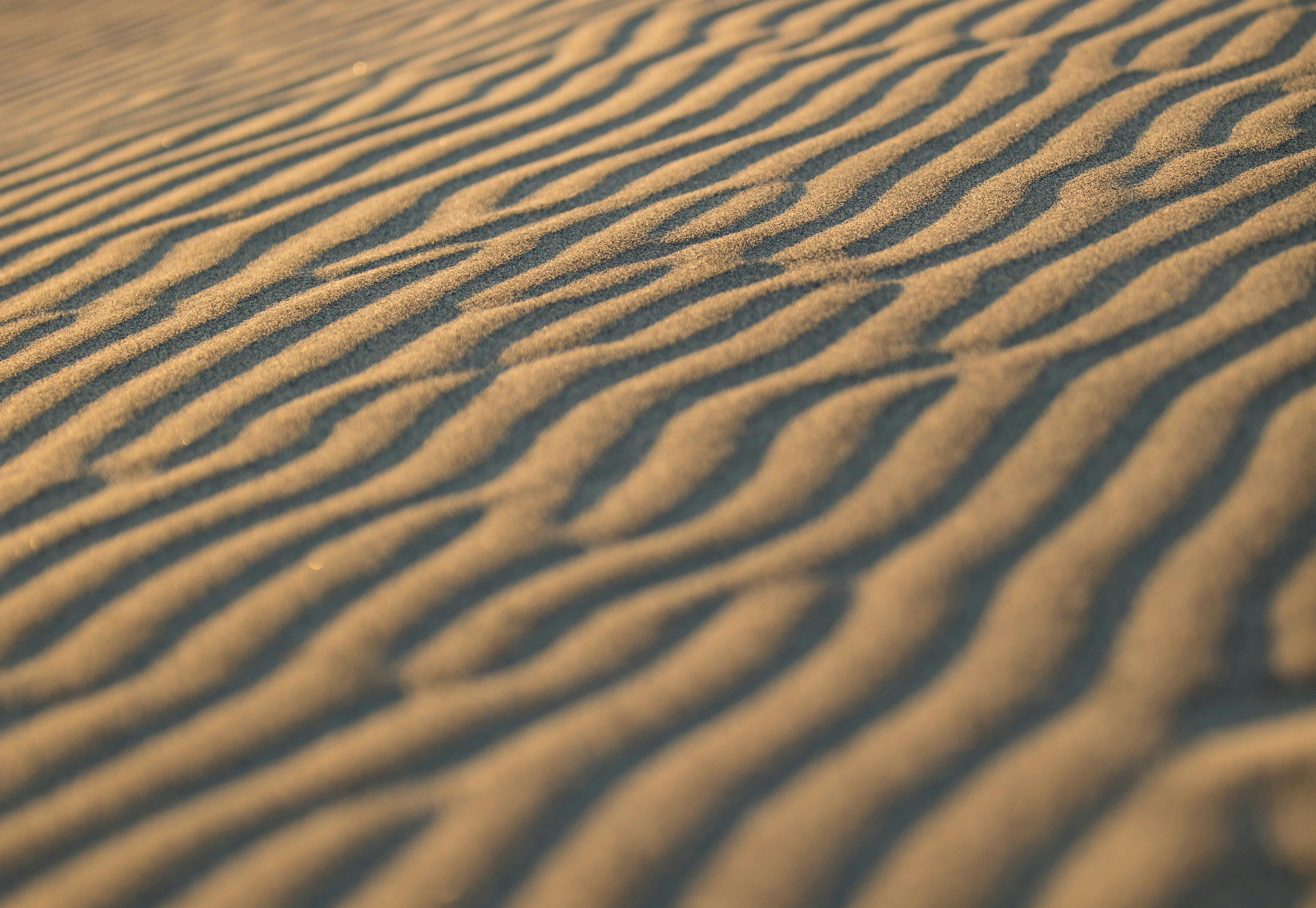 Woman Walking on Sand · Free Stock Photo