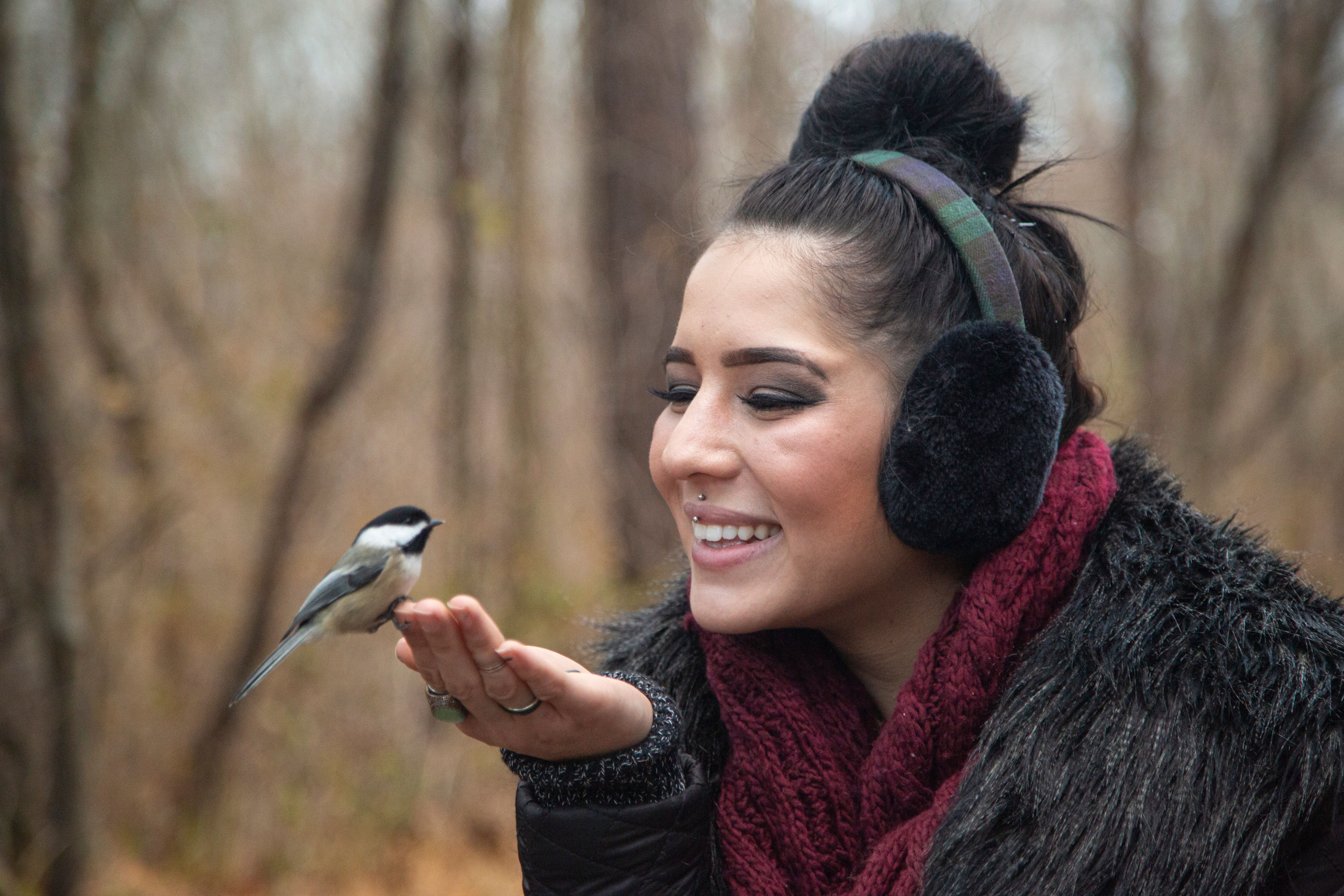 A Chickadee Sitting on a Womans Hand · Free Stock Photo