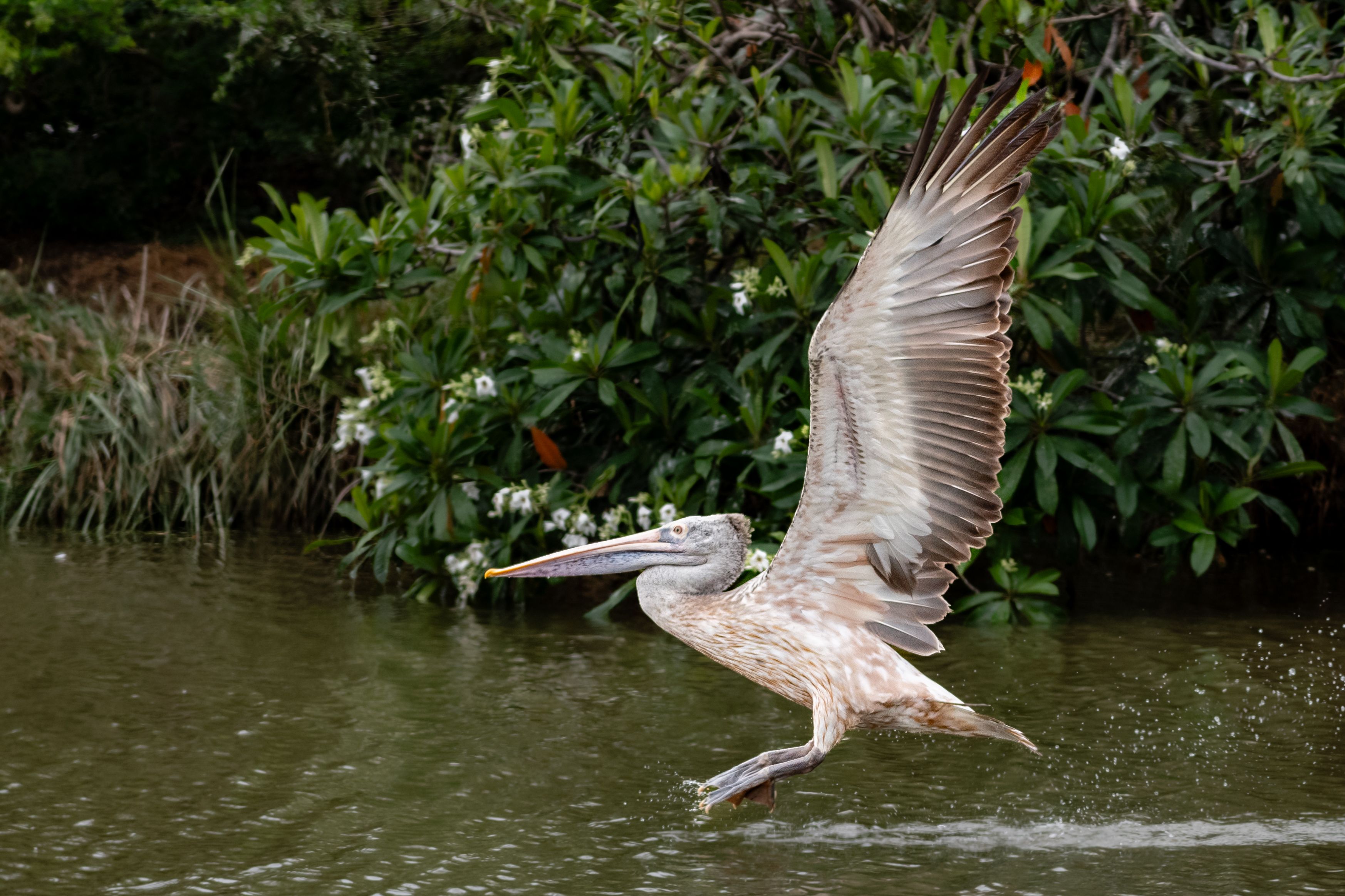 Water Nature Photos, Download The BEST Free Water Nature Stock Photos ...