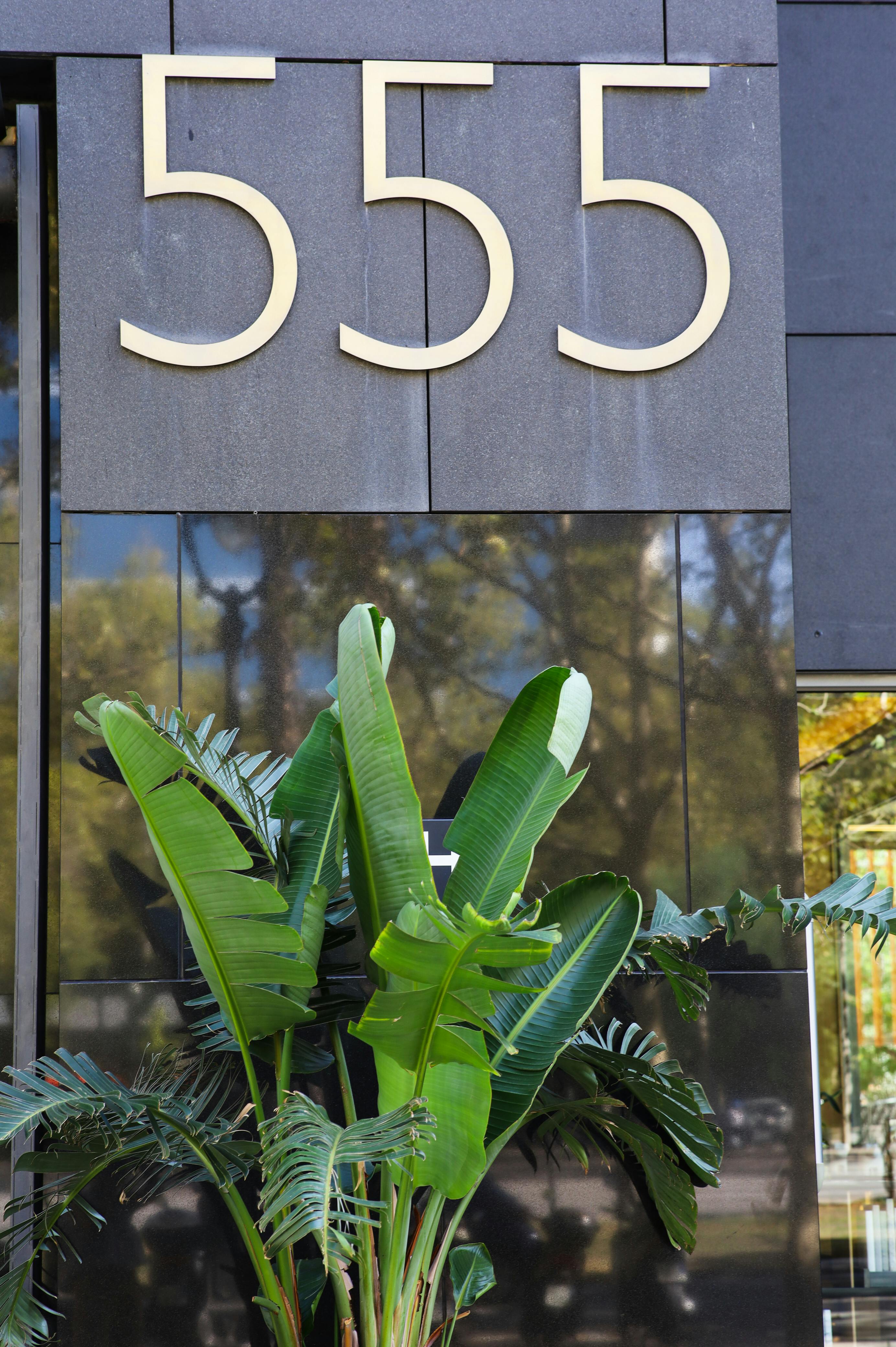 1+ Fotos y Imágenes de 555 Gratis · Banco de Fotos Gratis