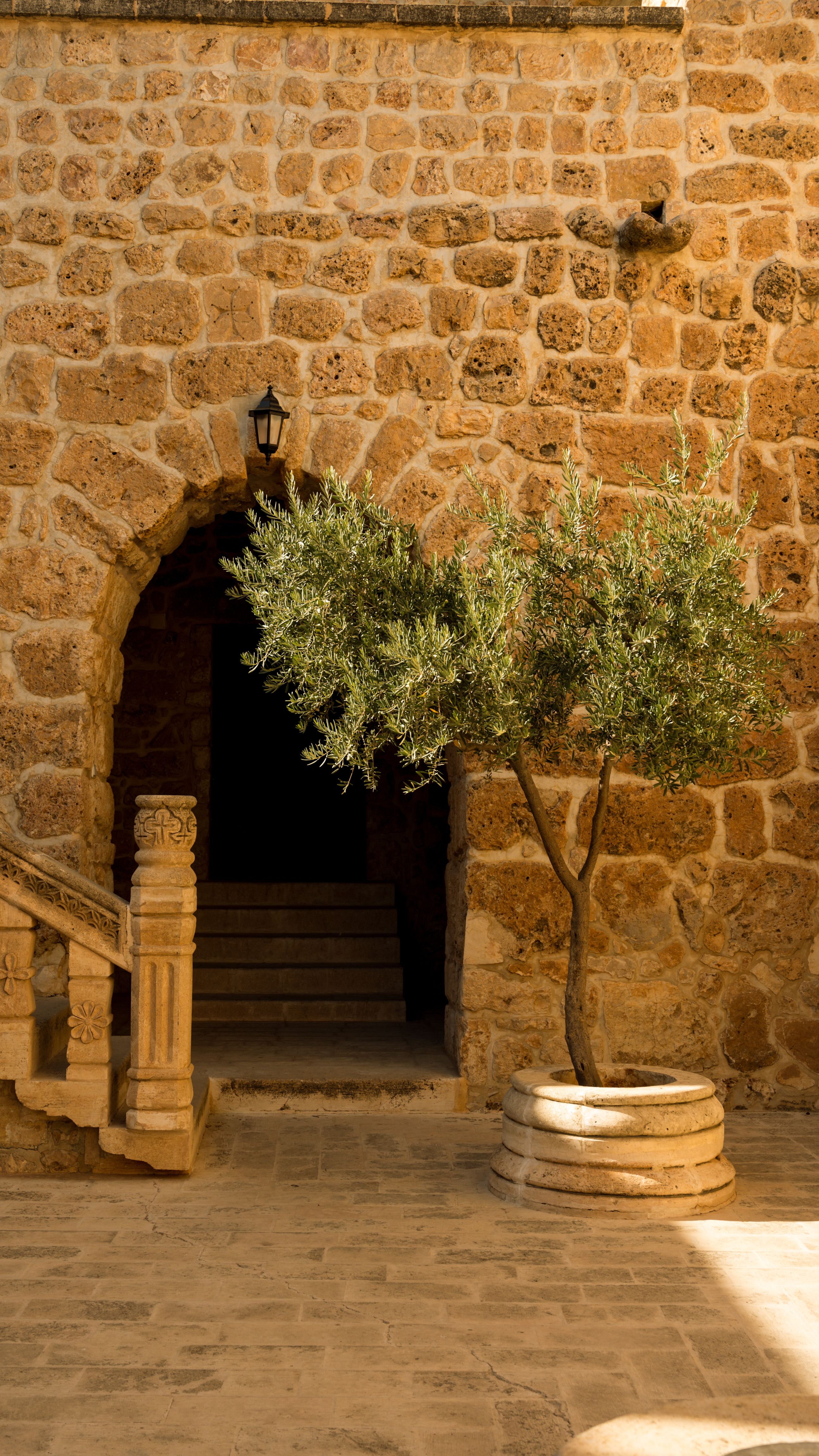 Tree near Stone Building Wall · Free Stock Photo