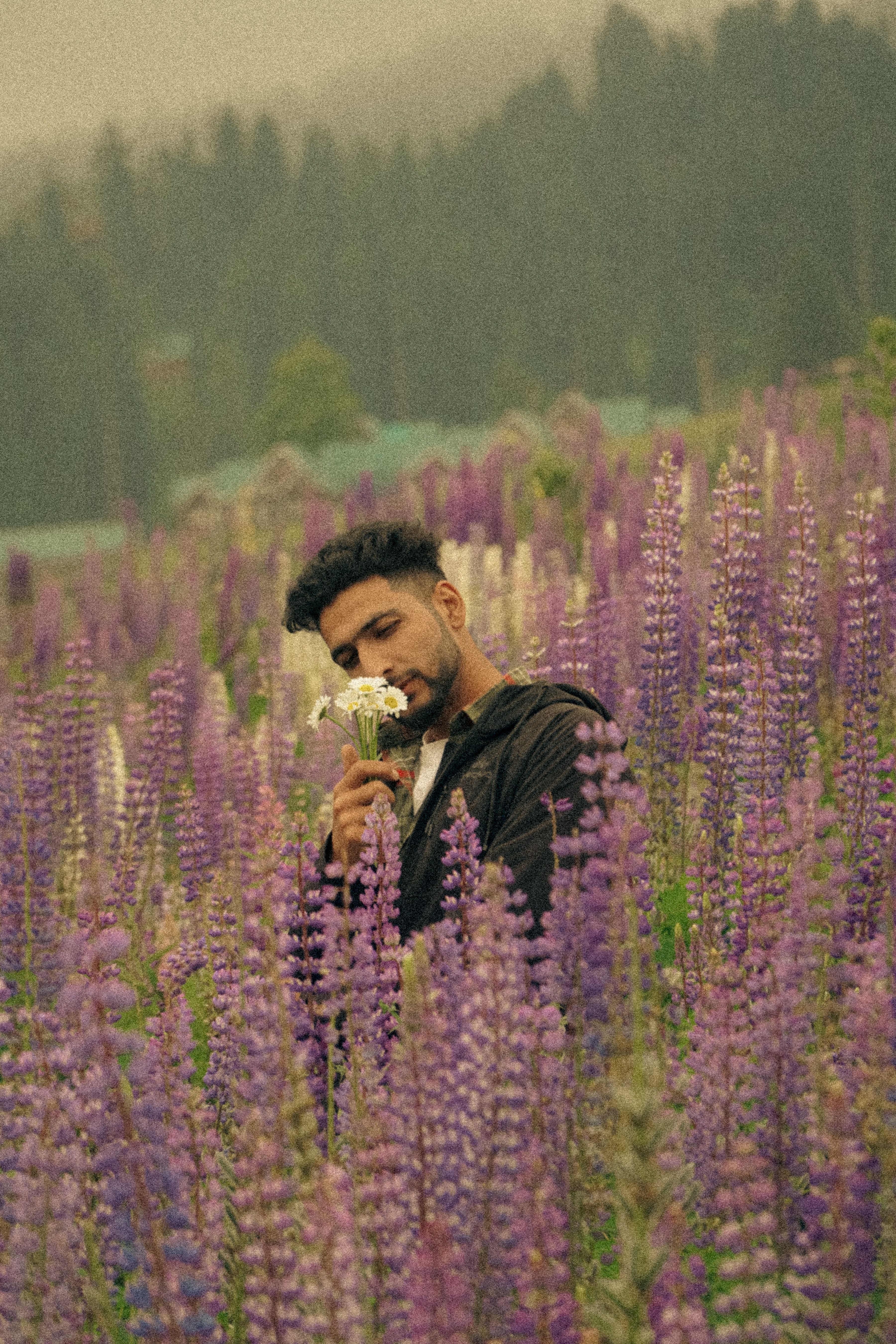Man Posing on Lavender Field · Free Stock Photo