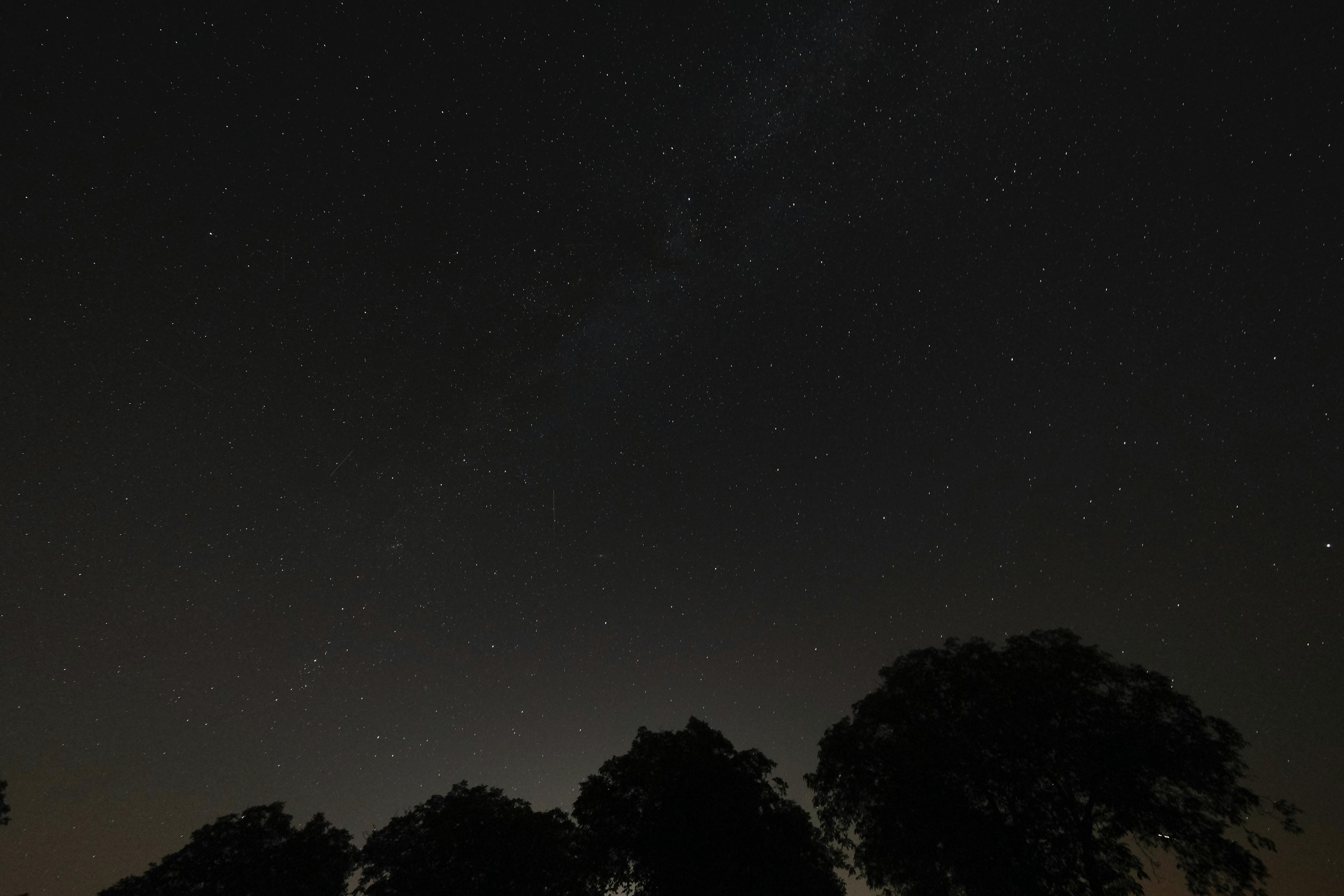 Trees under Starry Night Sky · Free Stock Photo